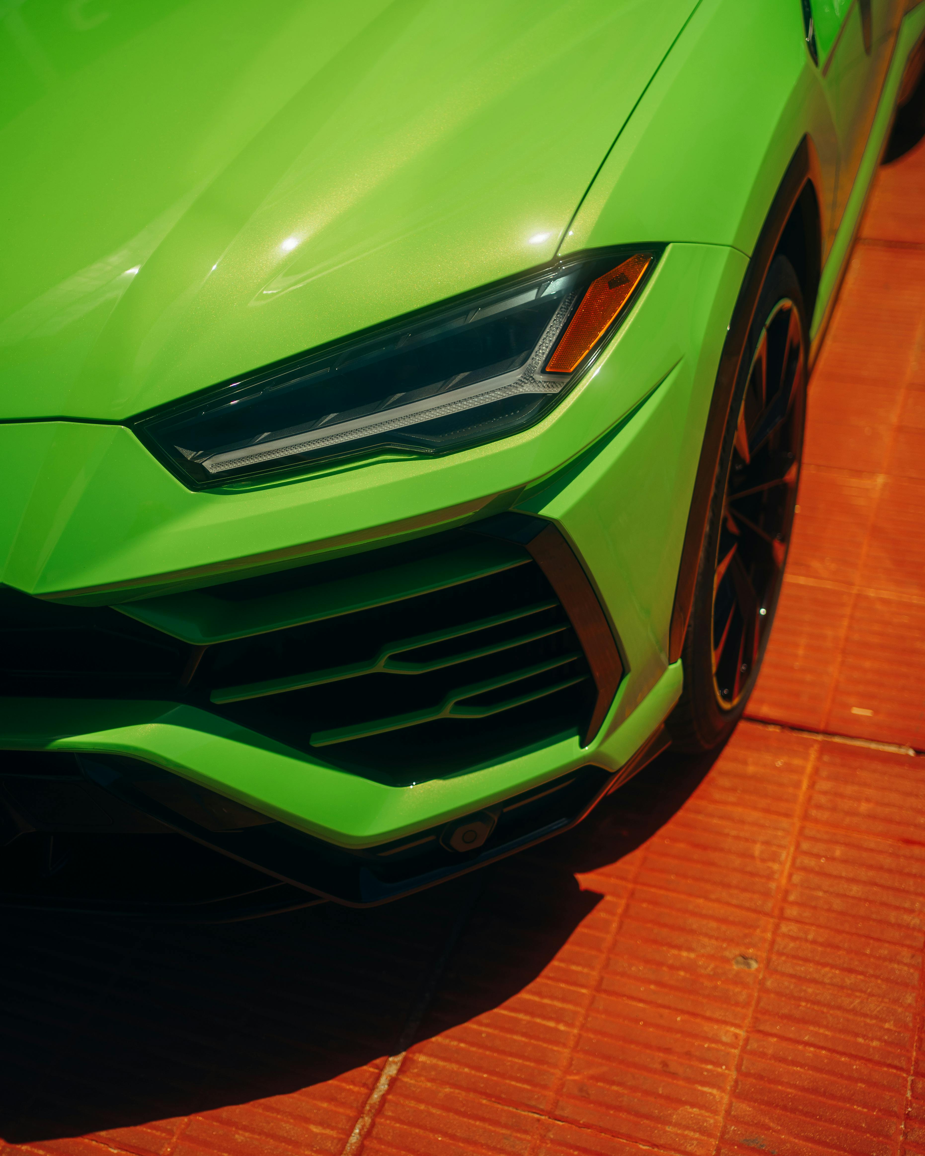 Urus Photos, Download The BEST Free Urus Stock Photos & HD Images