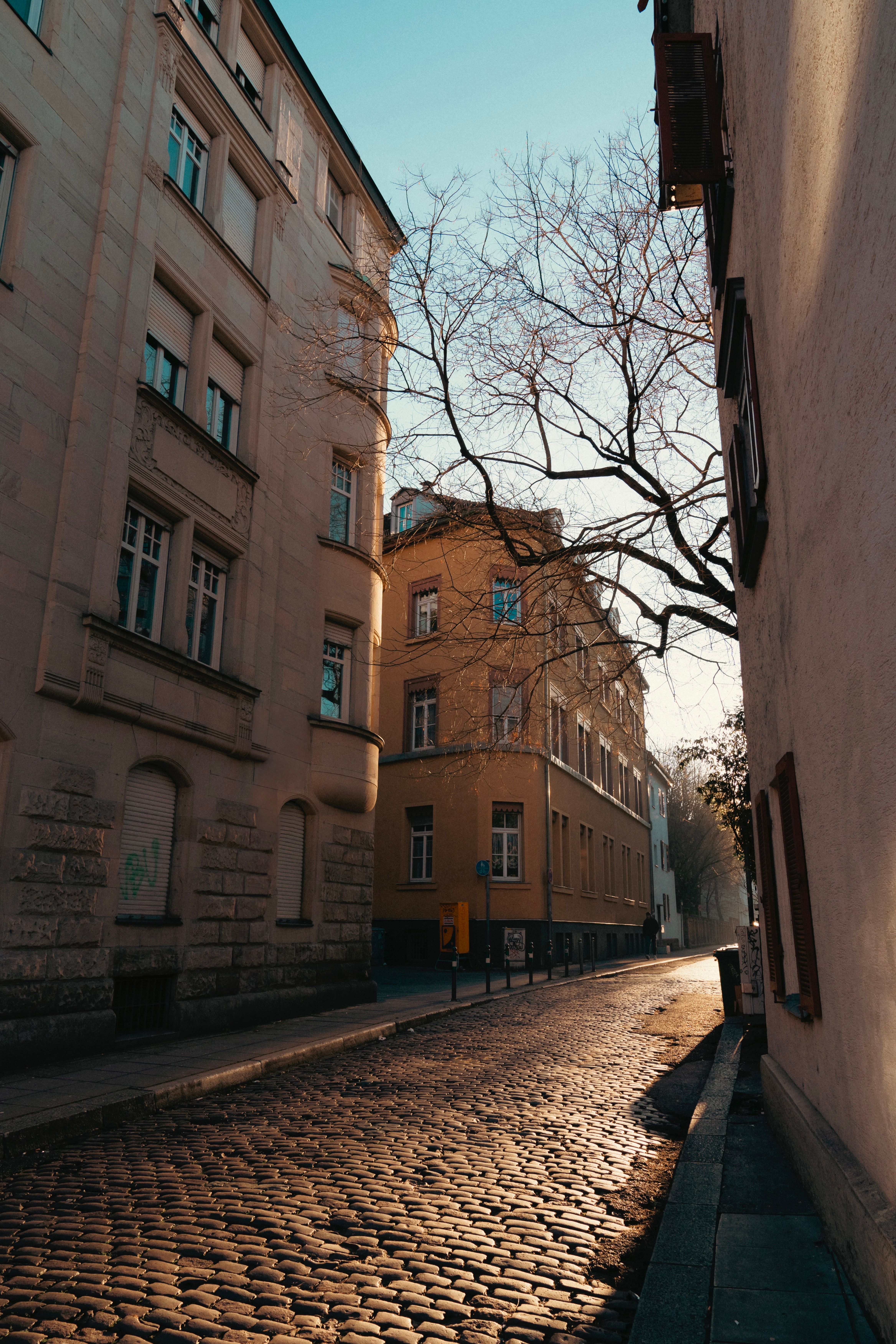 Paving Street at Dusk · Free Stock Photo