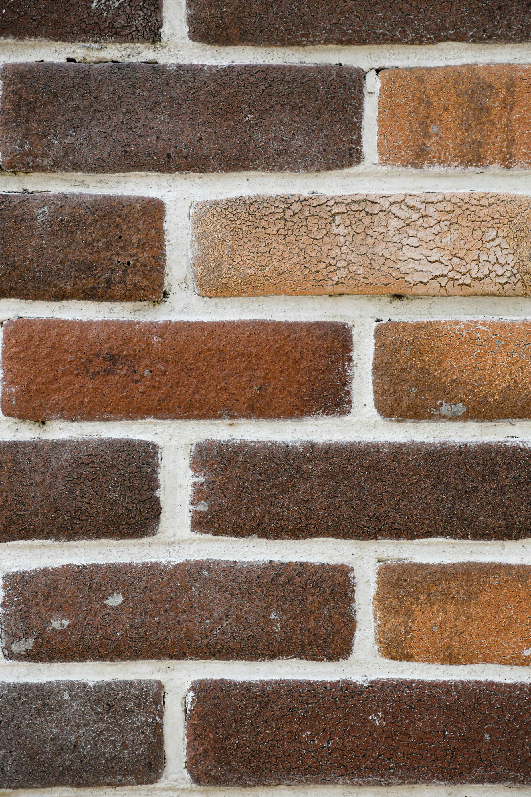 Kento Ikeda - Photography