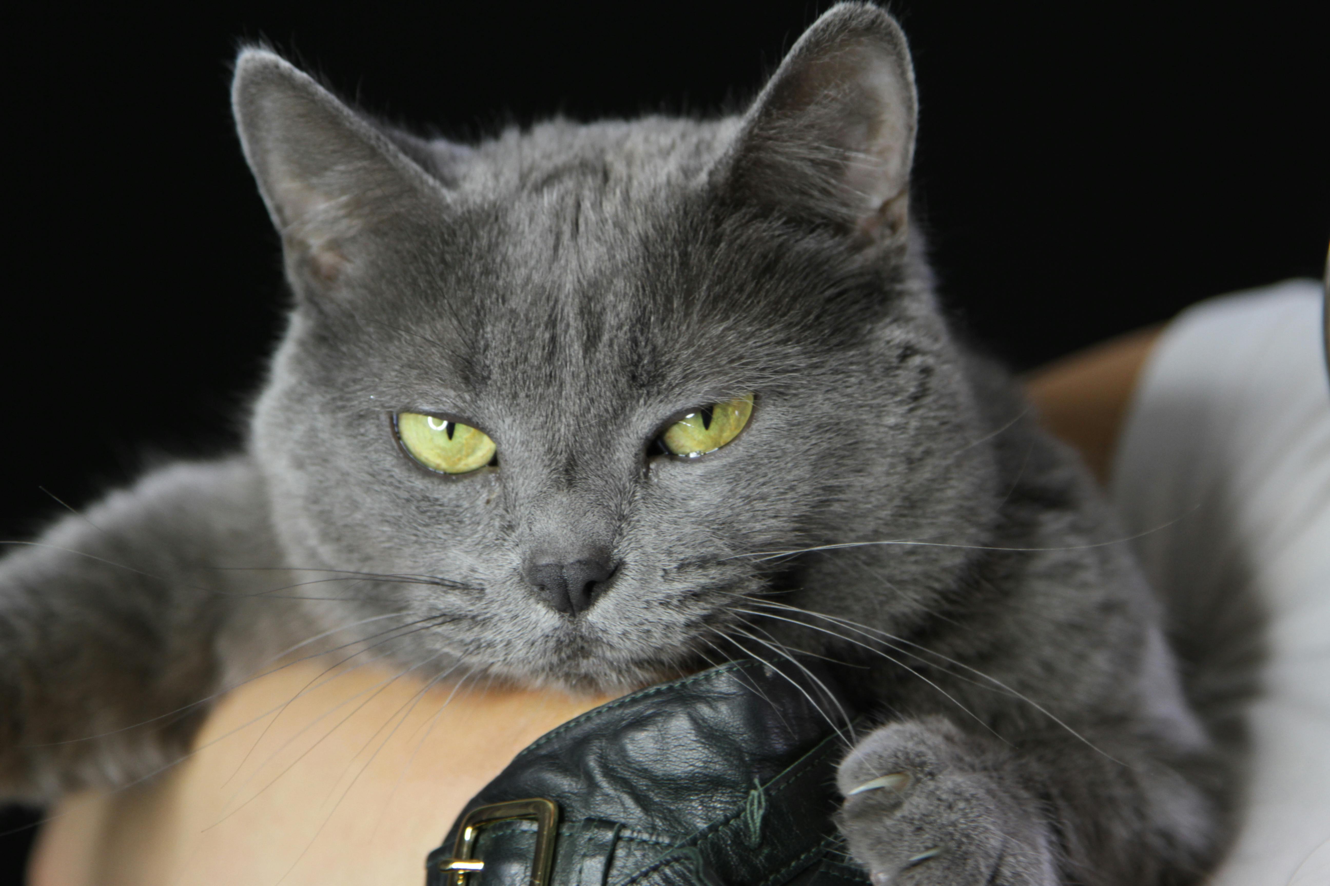 Joseph Eulo - การถ่ายภาพ