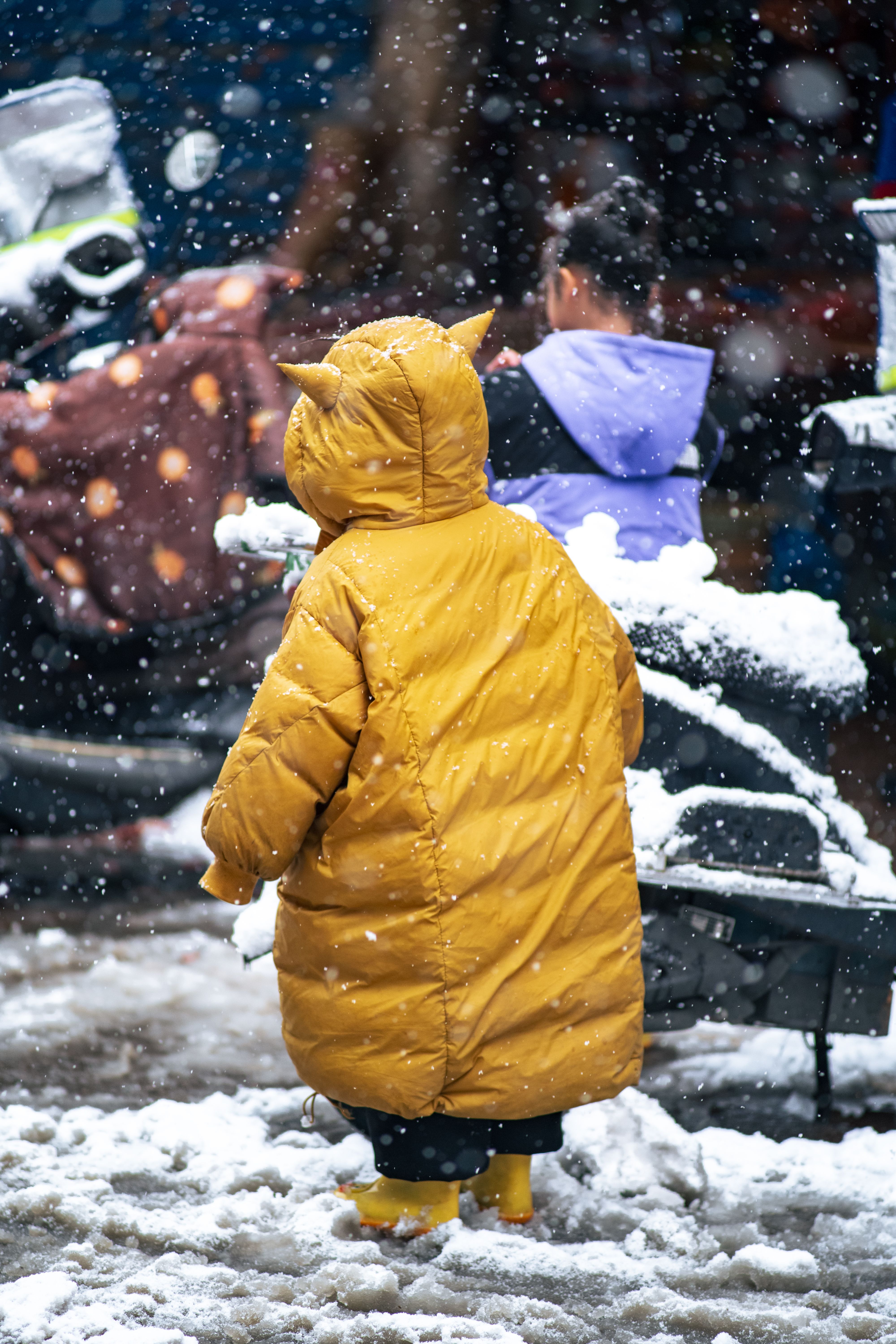 Child in Yellow Jacket with Hood Standing on Snowy Sidewalk · Free ...