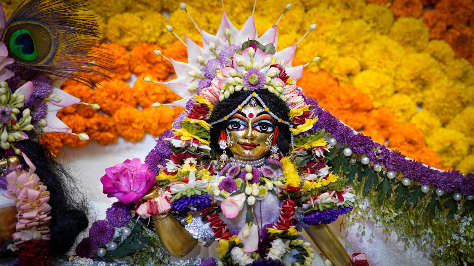 Krishna Photos, Download The BEST Free Krishna Stock Photos & HD Images