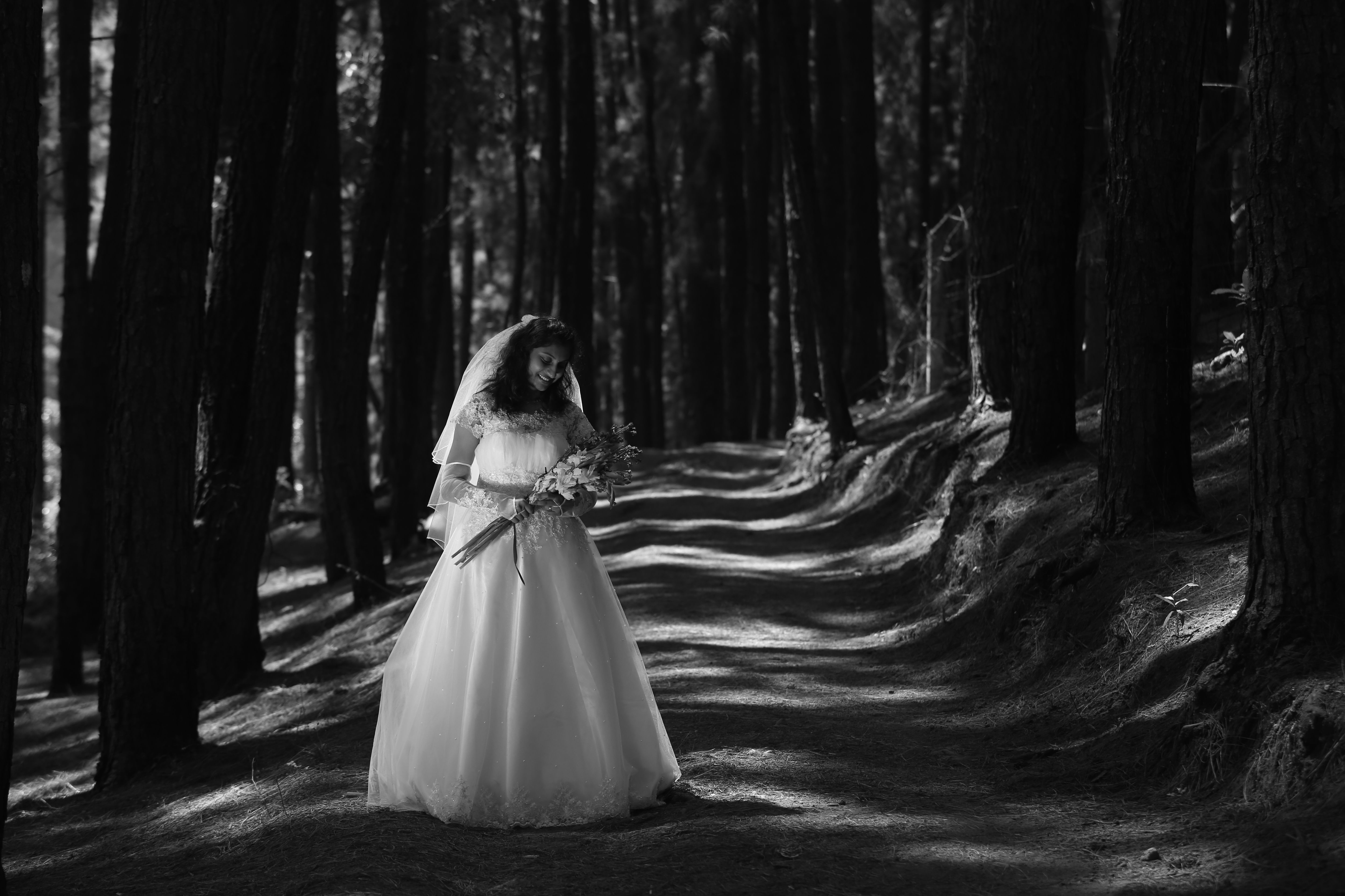 Bride in Wedding Dress Posing in Forest · Free Stock Photo