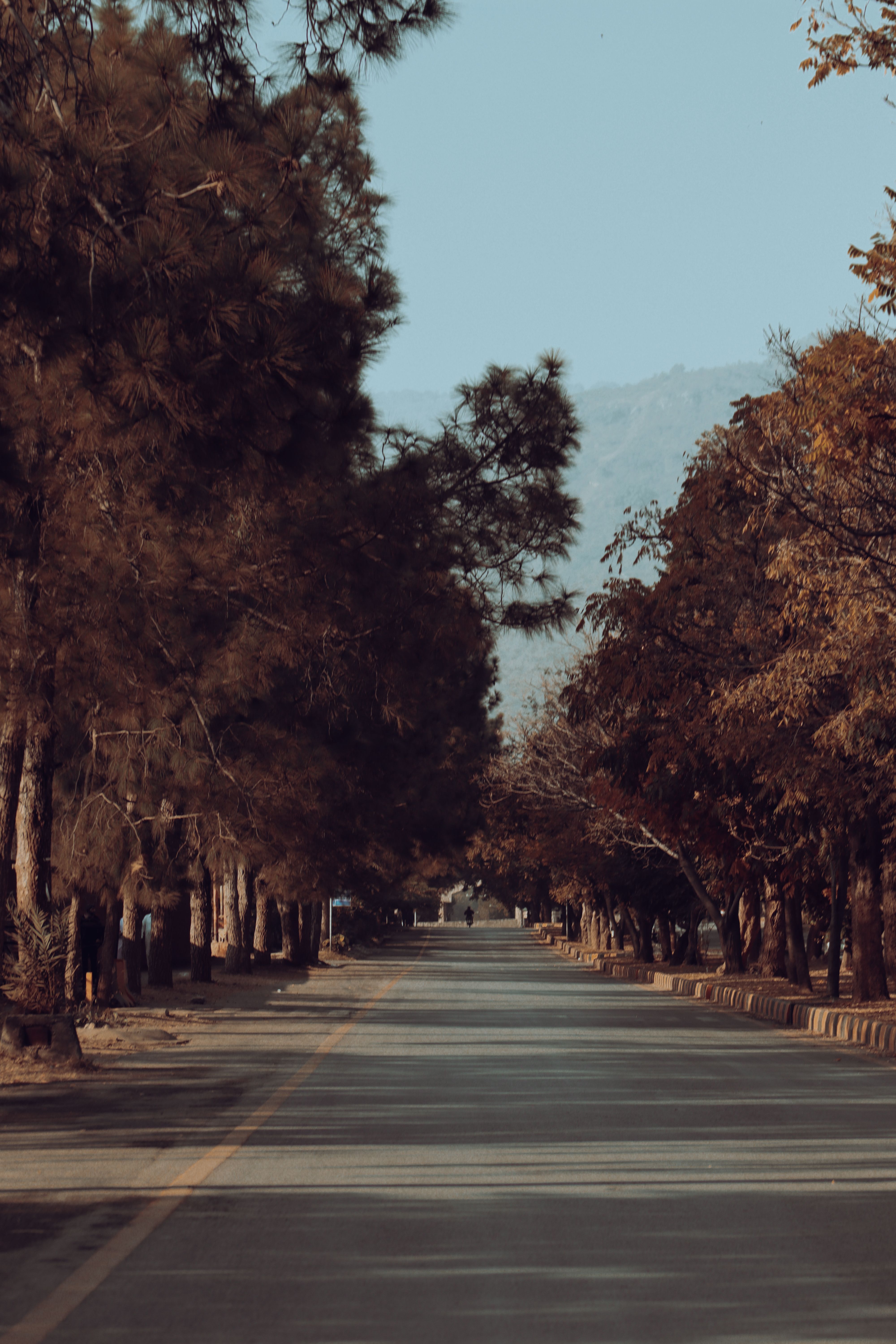Ict Islamabad Photos, Download The BEST Free Ict Islamabad Stock Photos ...