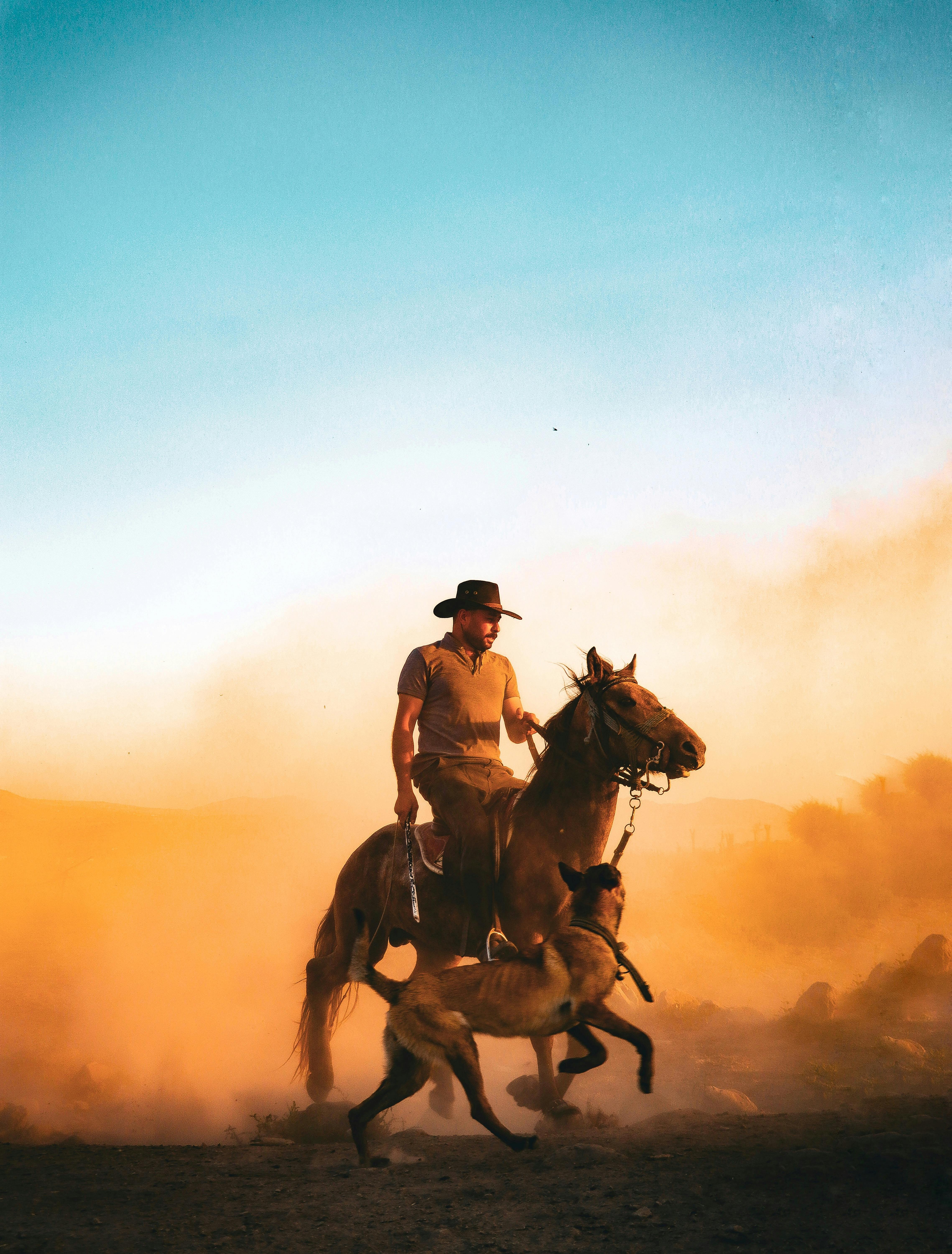 A man riding a horse and two dogs in the desert · Free Stock Photo