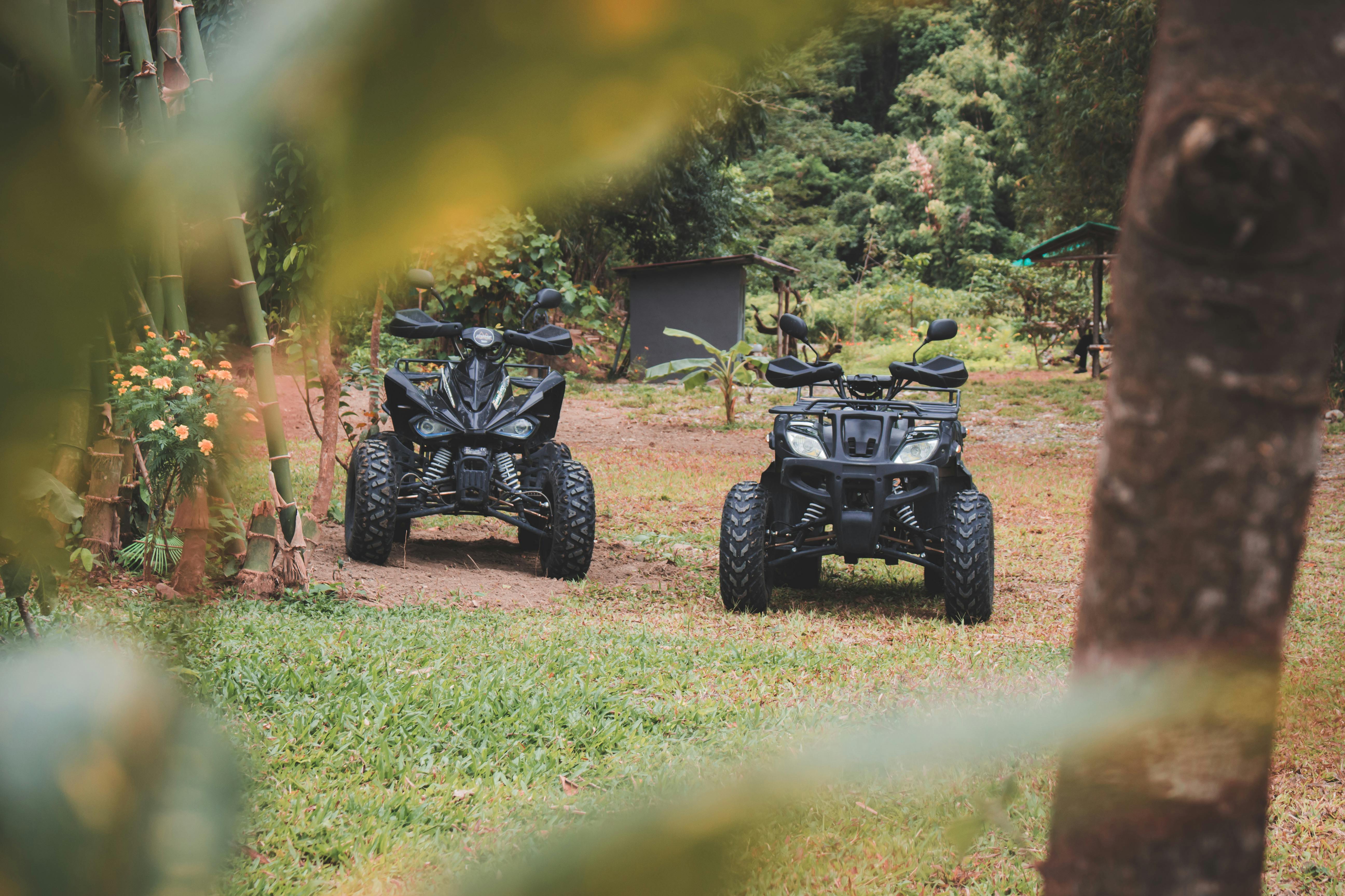 Quads in a Forest · Free Stock Photo
