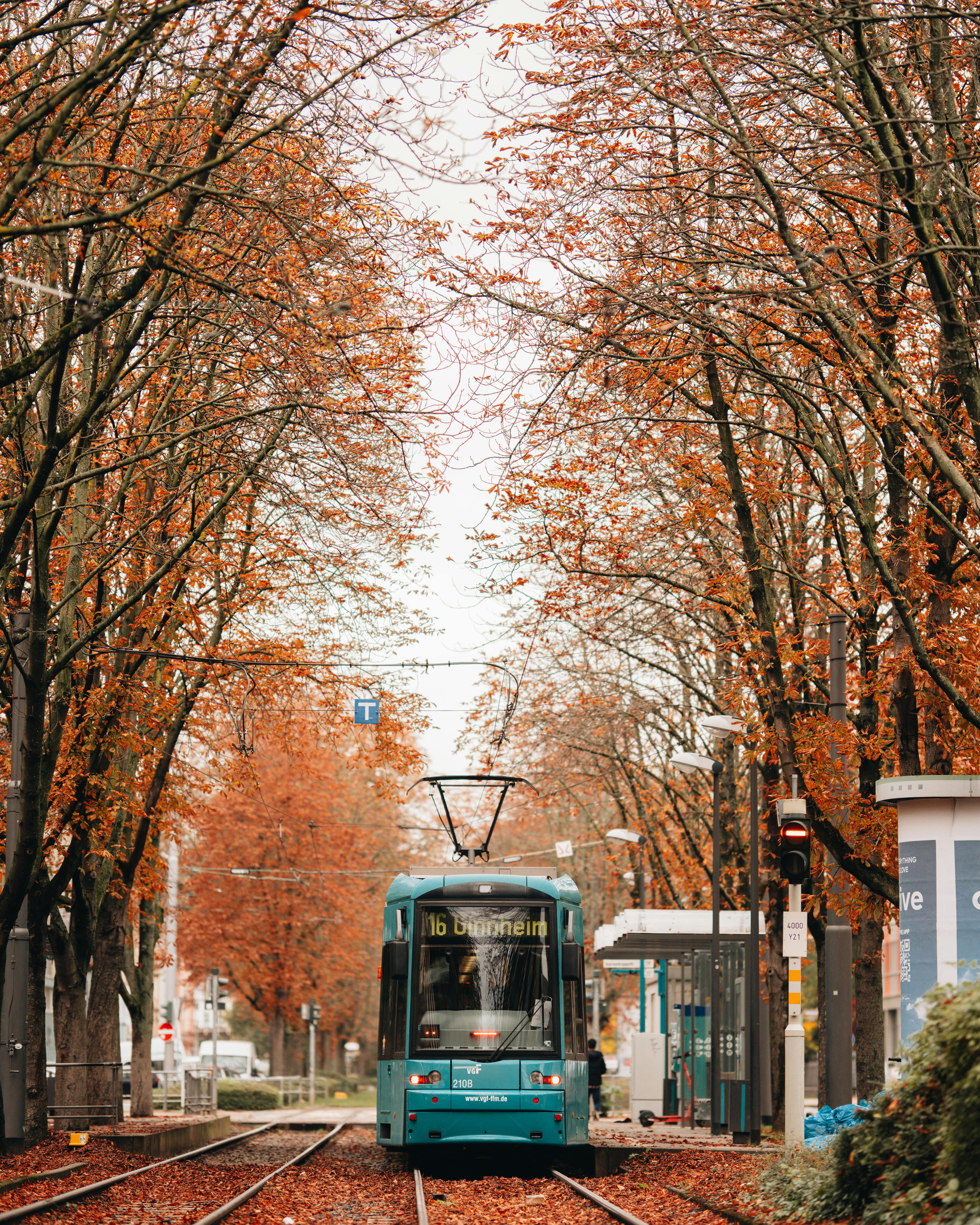 Maple Route Photos, Download The BEST Free Maple Route Stock Photos ...