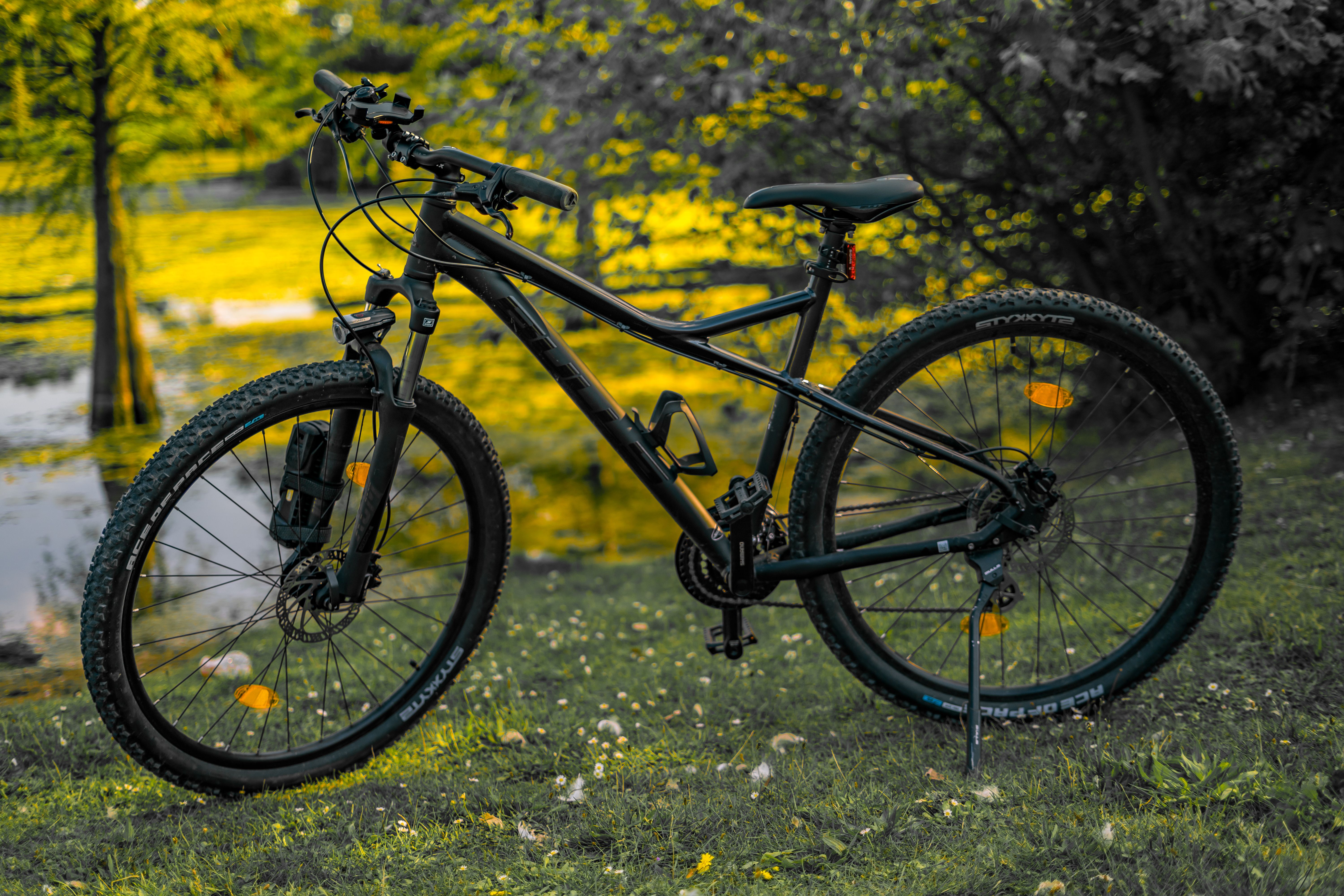 Black and Red Full-suspension Mountain Bike · Free Stock Photo