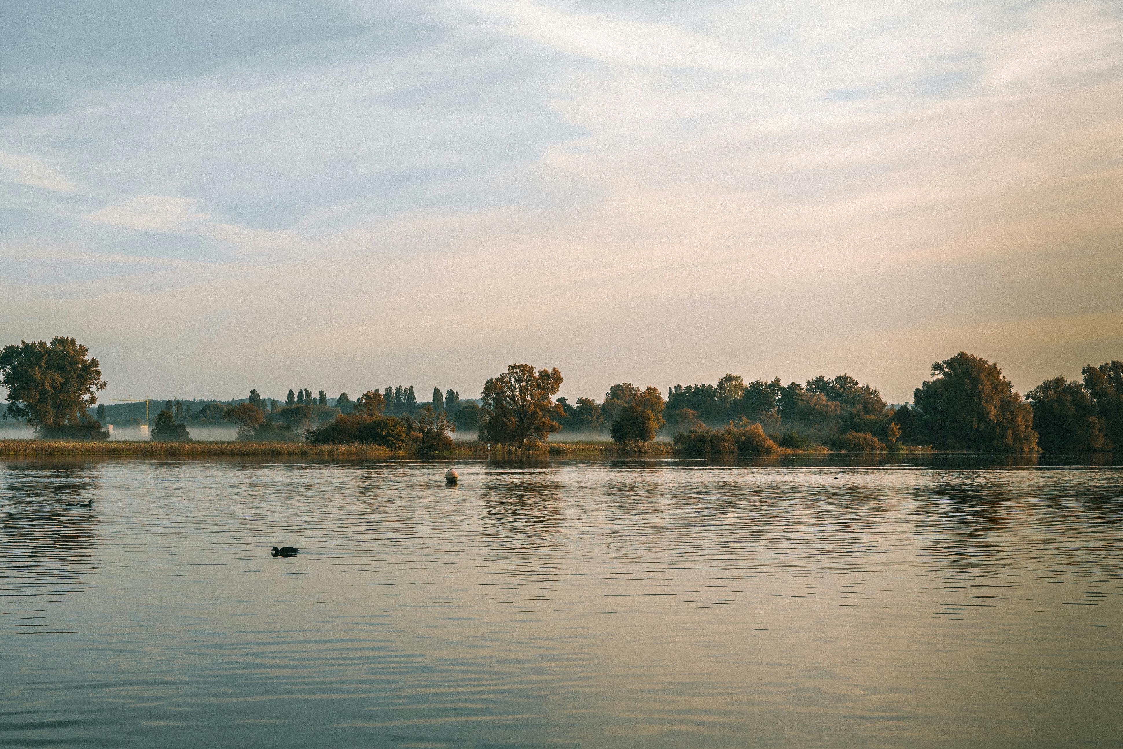 Calm Lake Scenery · Free Stock Photo