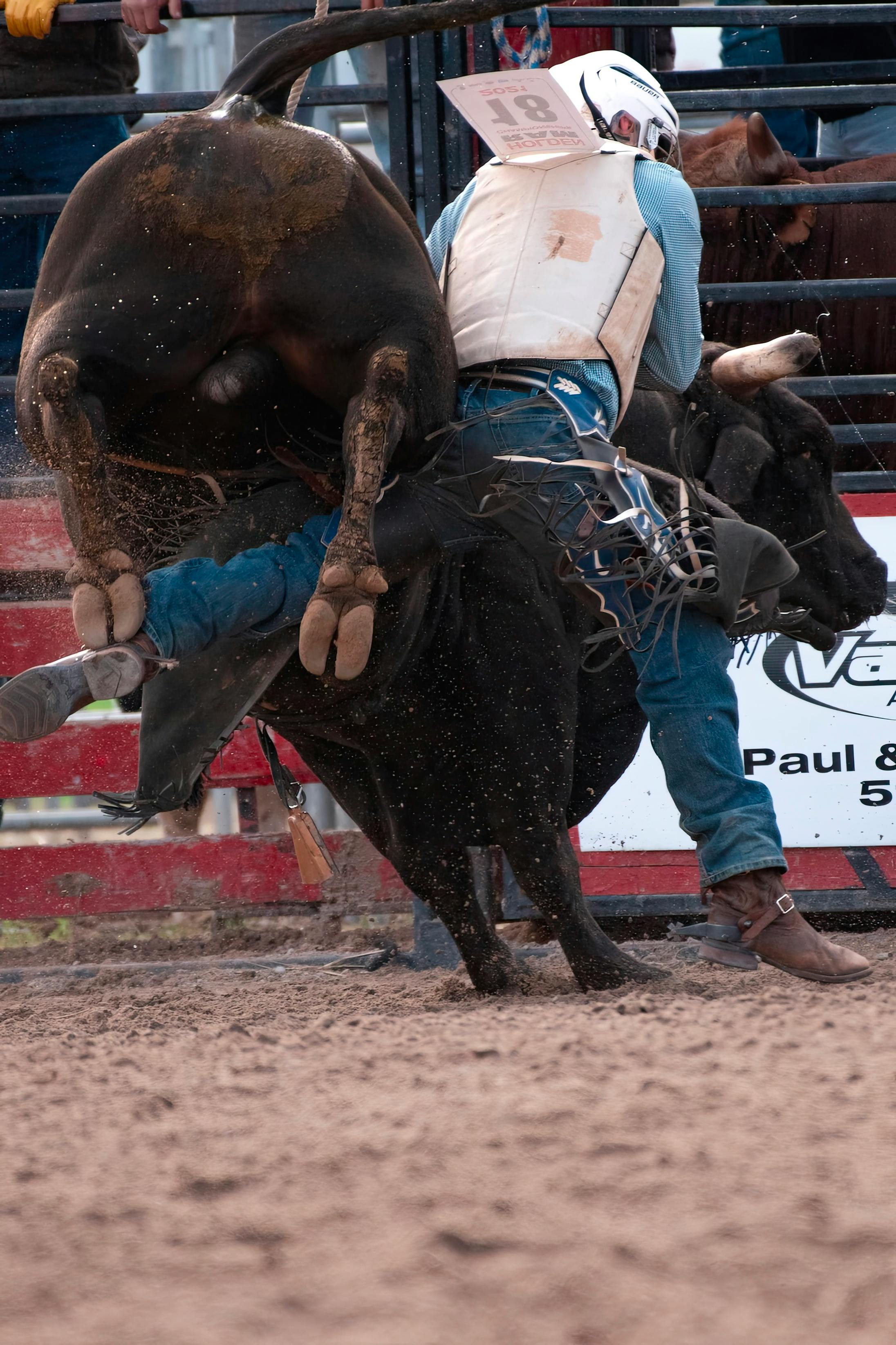 A Cowboy Competing in a Rodeo · Free Stock Photo