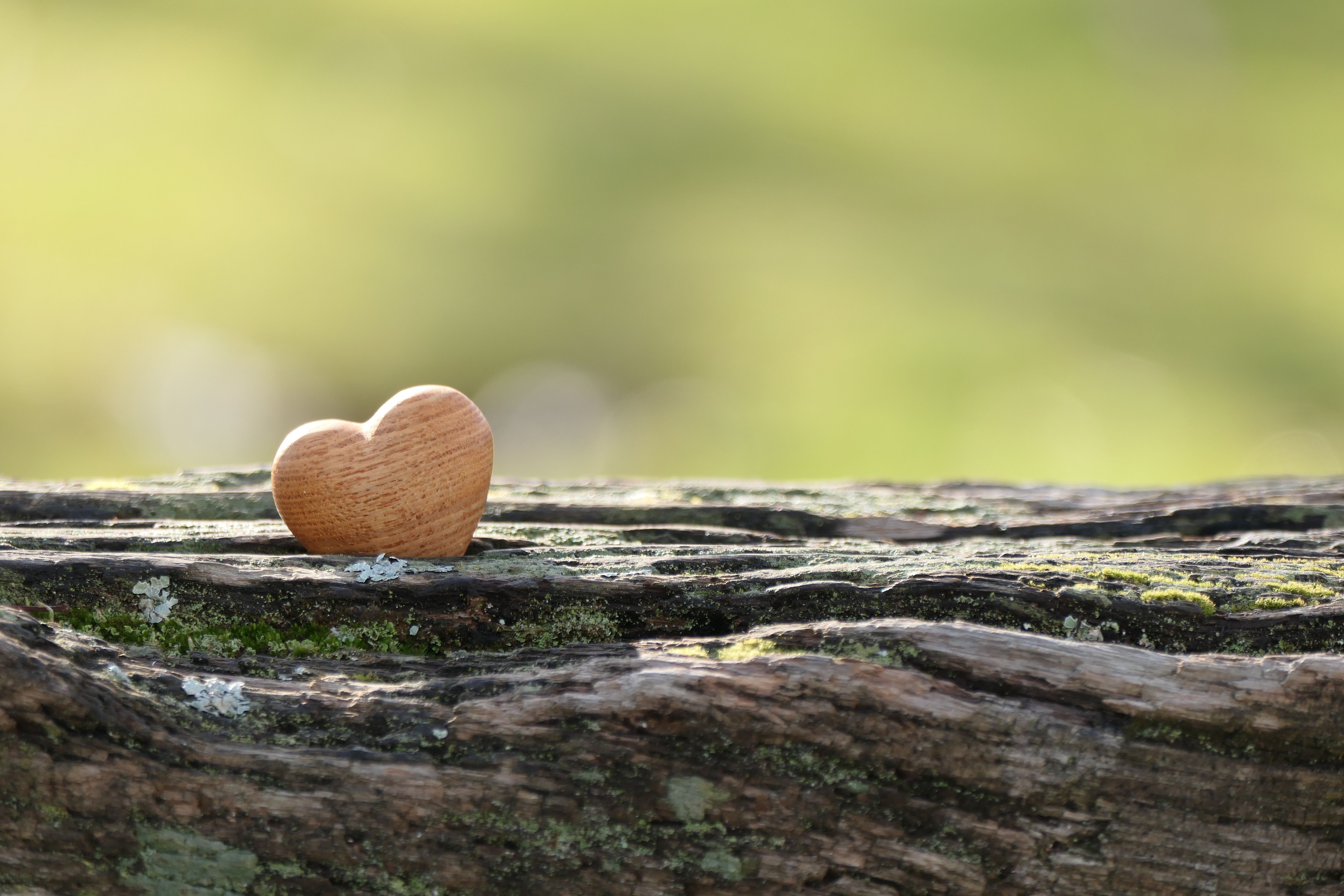 Grown Photos, Download The BEST Free Grown Stock Photos & HD Images