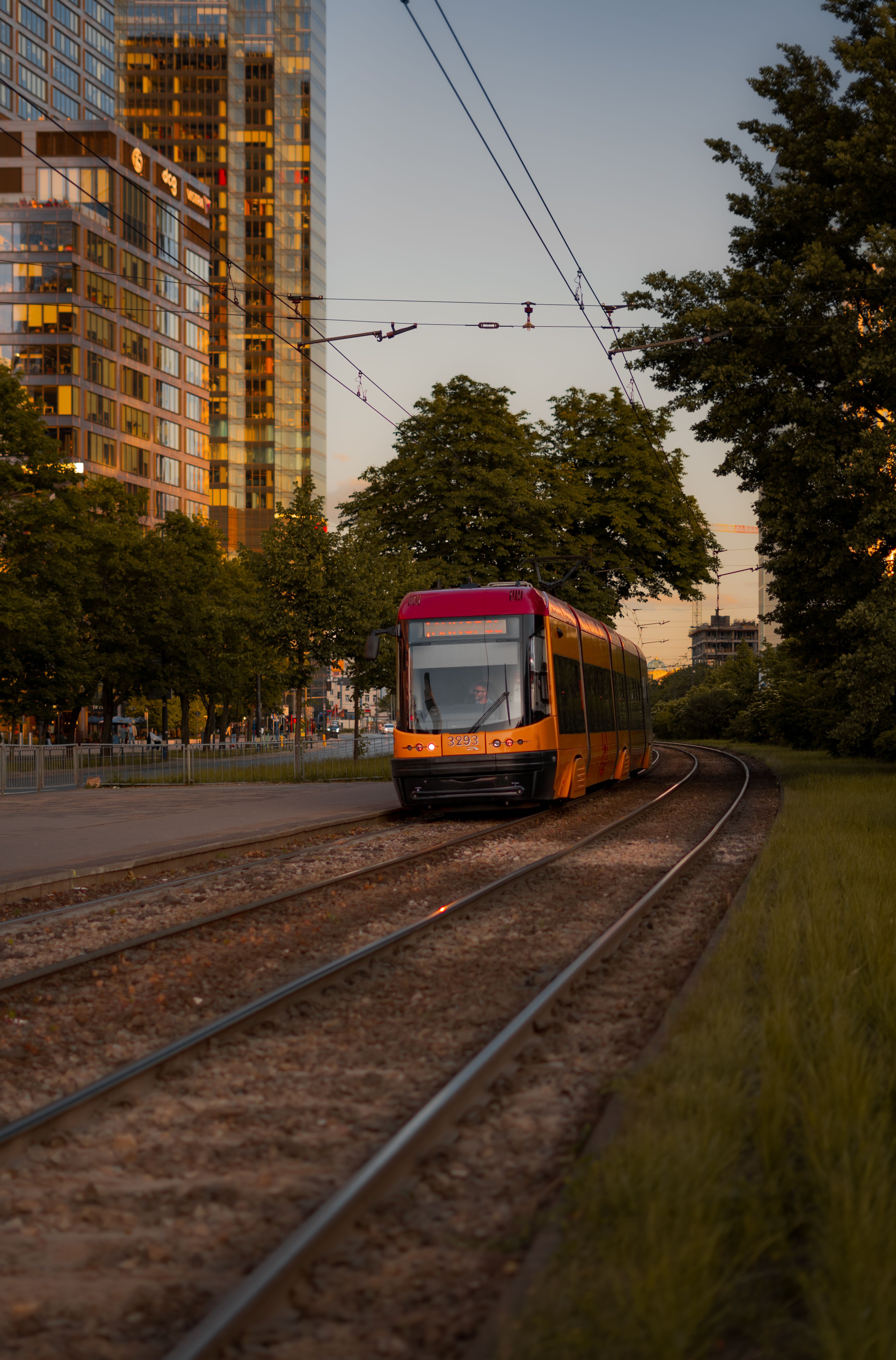 Disney Tram Photos, Download The BEST Free Disney Tram Stock Photos ...