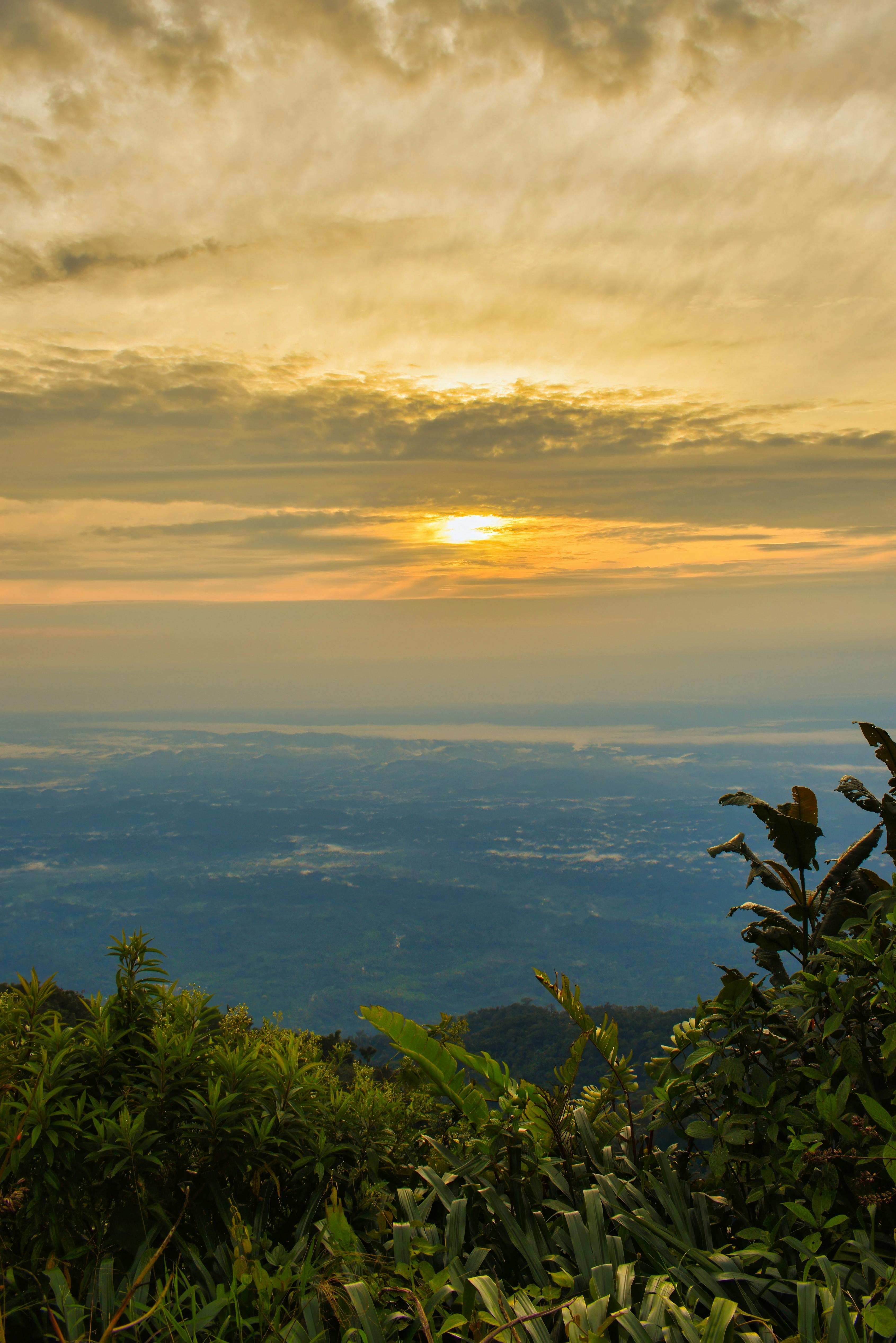 Grassland With View Of Sunset · Free Stock Photo
