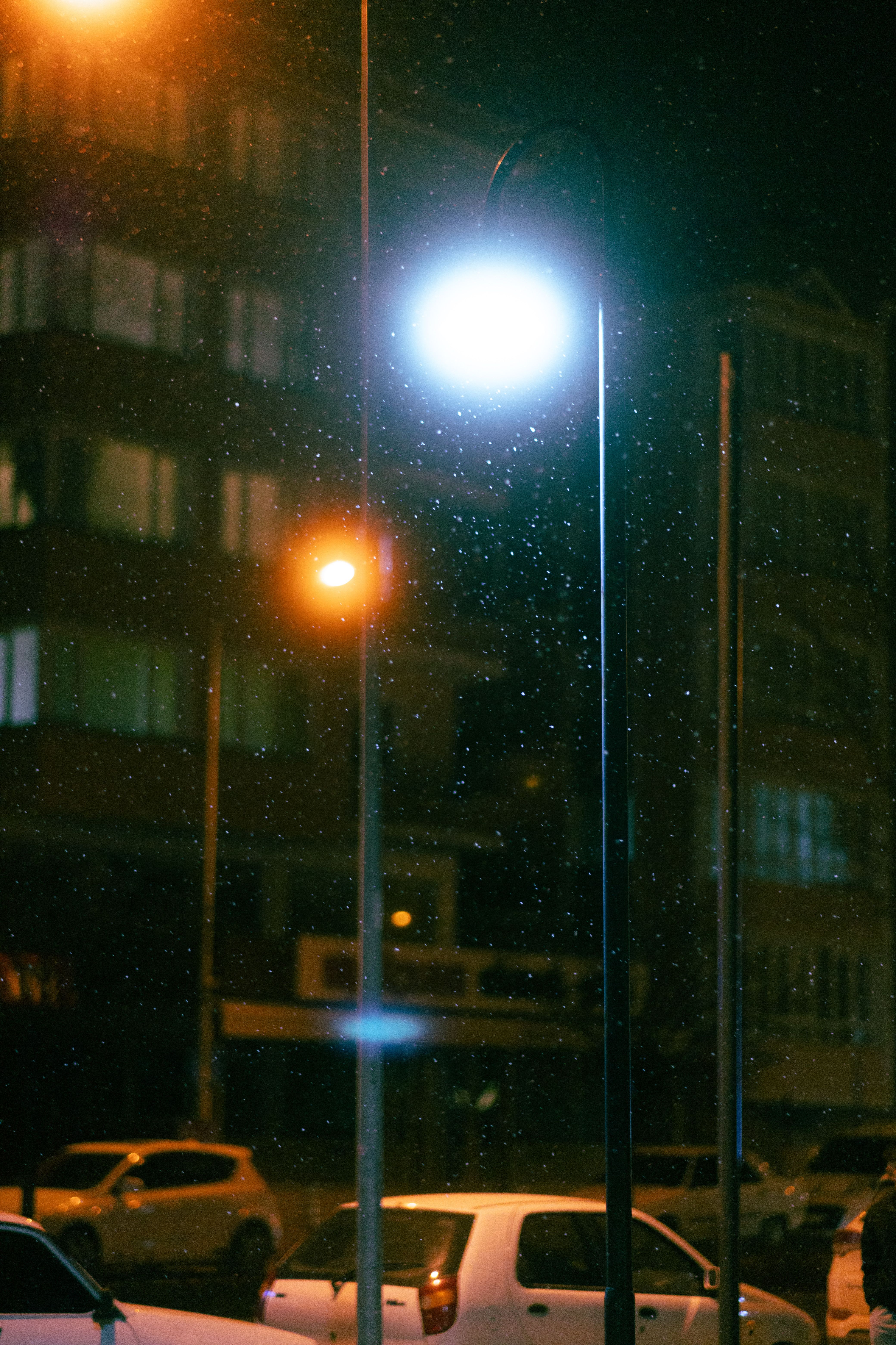 Snowy Street Lamp at Night in Winter Scene · Free Stock Photo