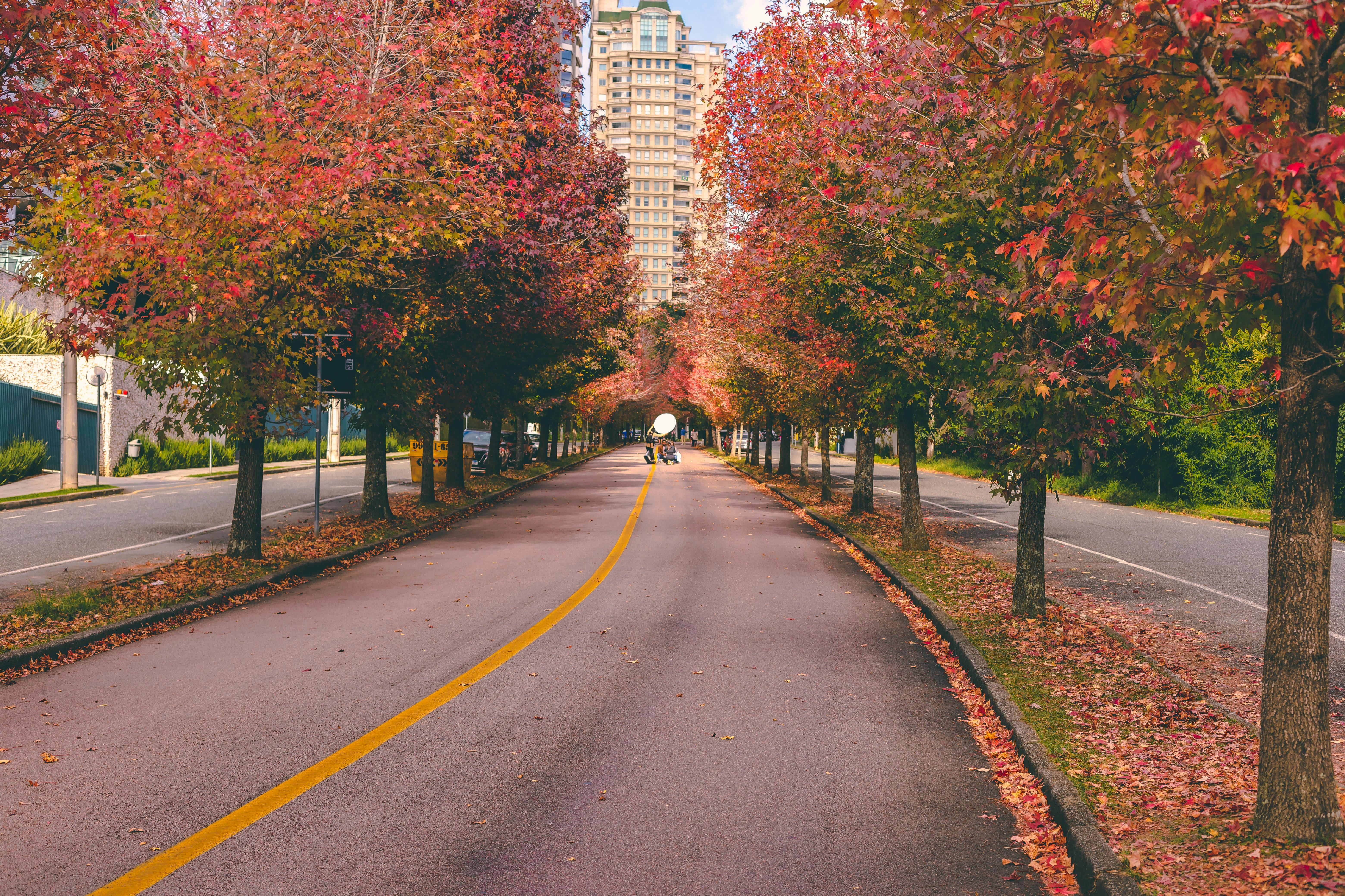 Fall City Photos, Download The BEST Free Fall City Stock Photos & HD Images