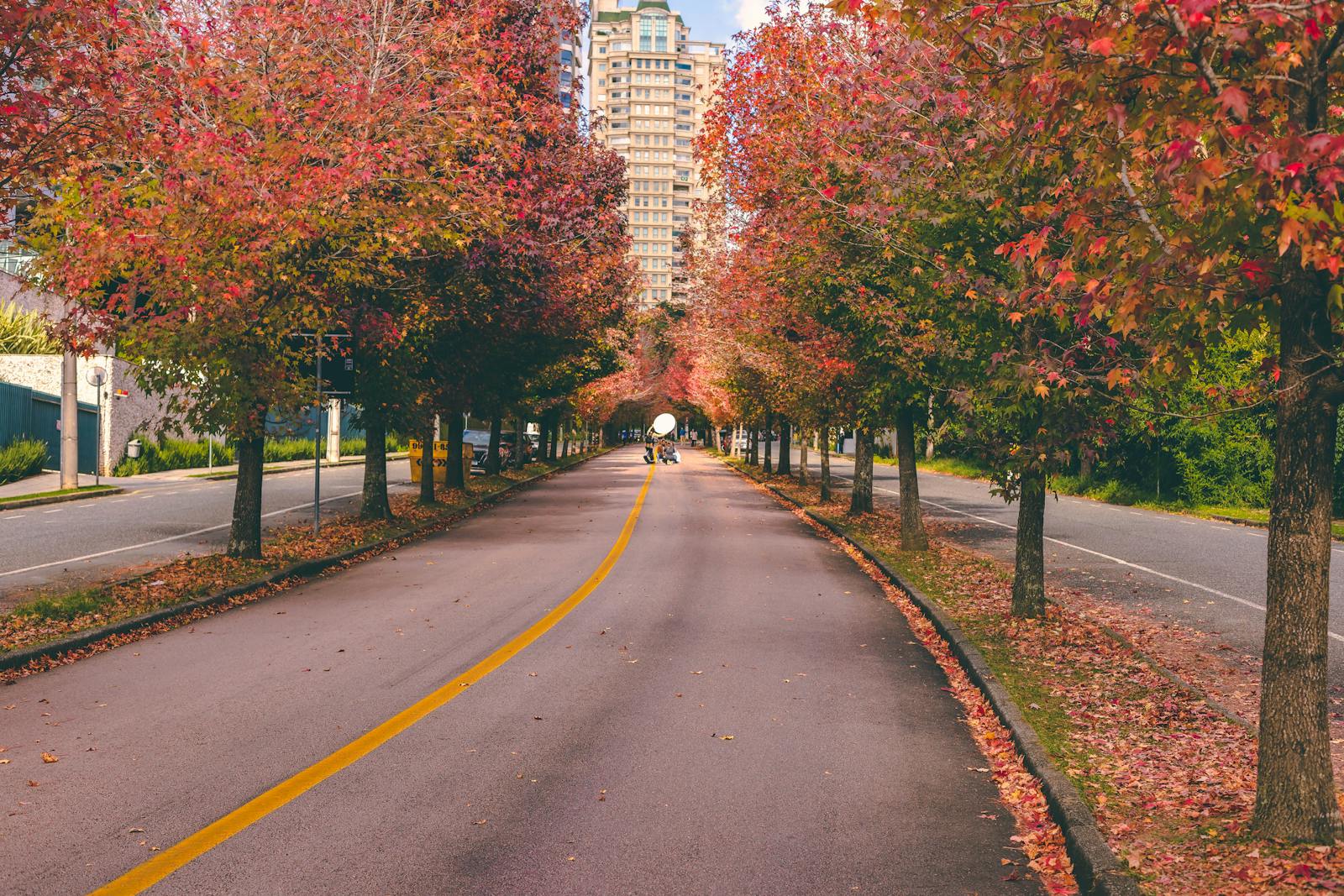 Fall City Photos, Download The BEST Free Fall City Stock Photos & HD Images