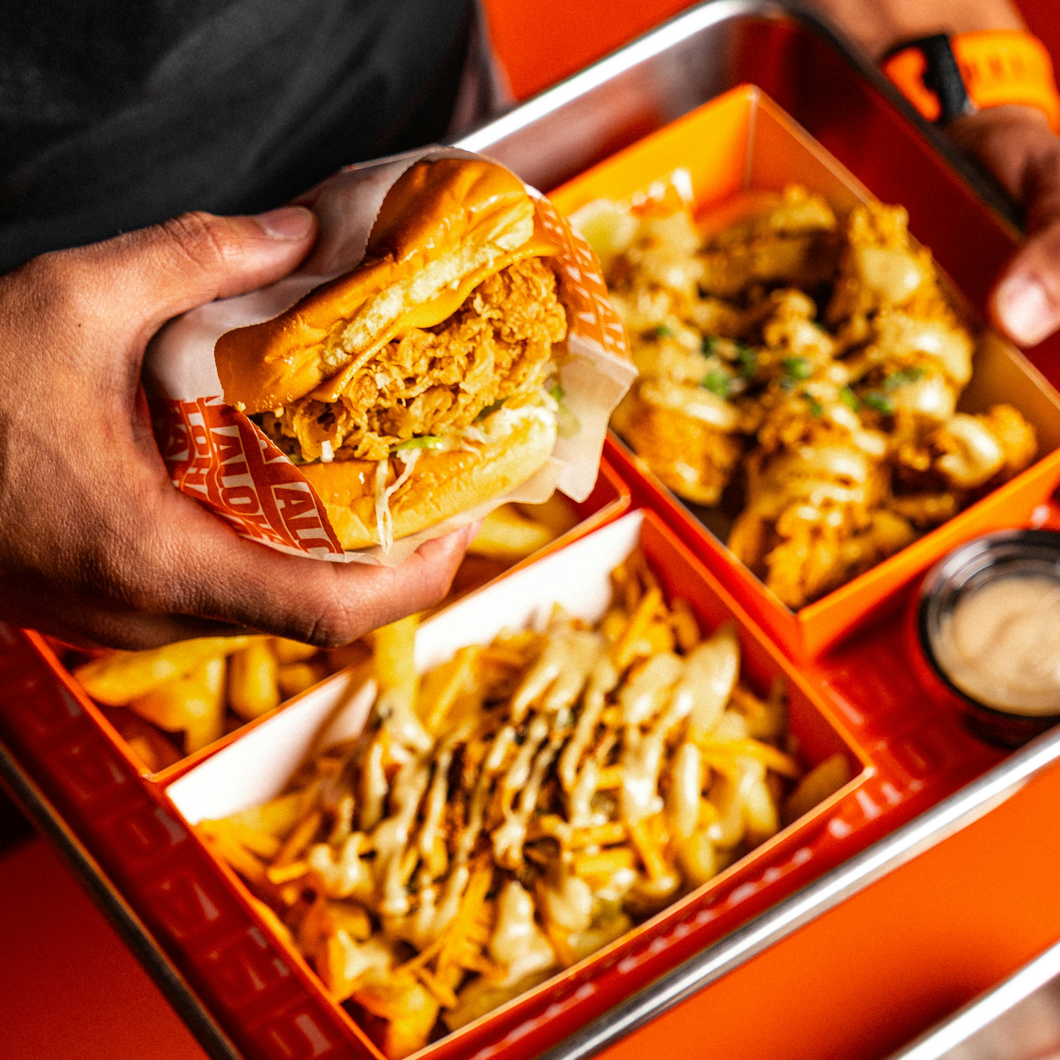 Fast Food on a Tray · Free Stock Photo