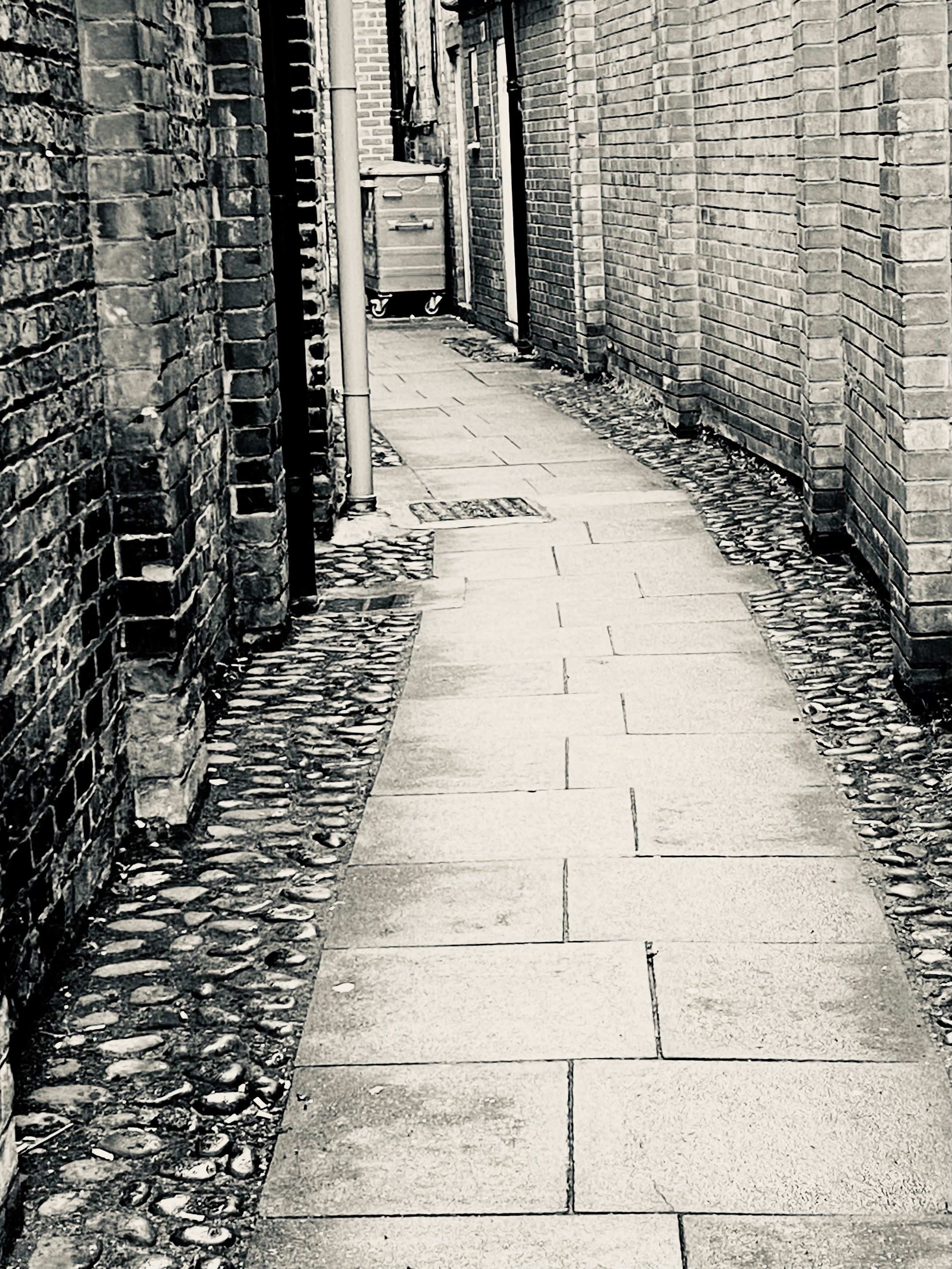 David Cross - Photography