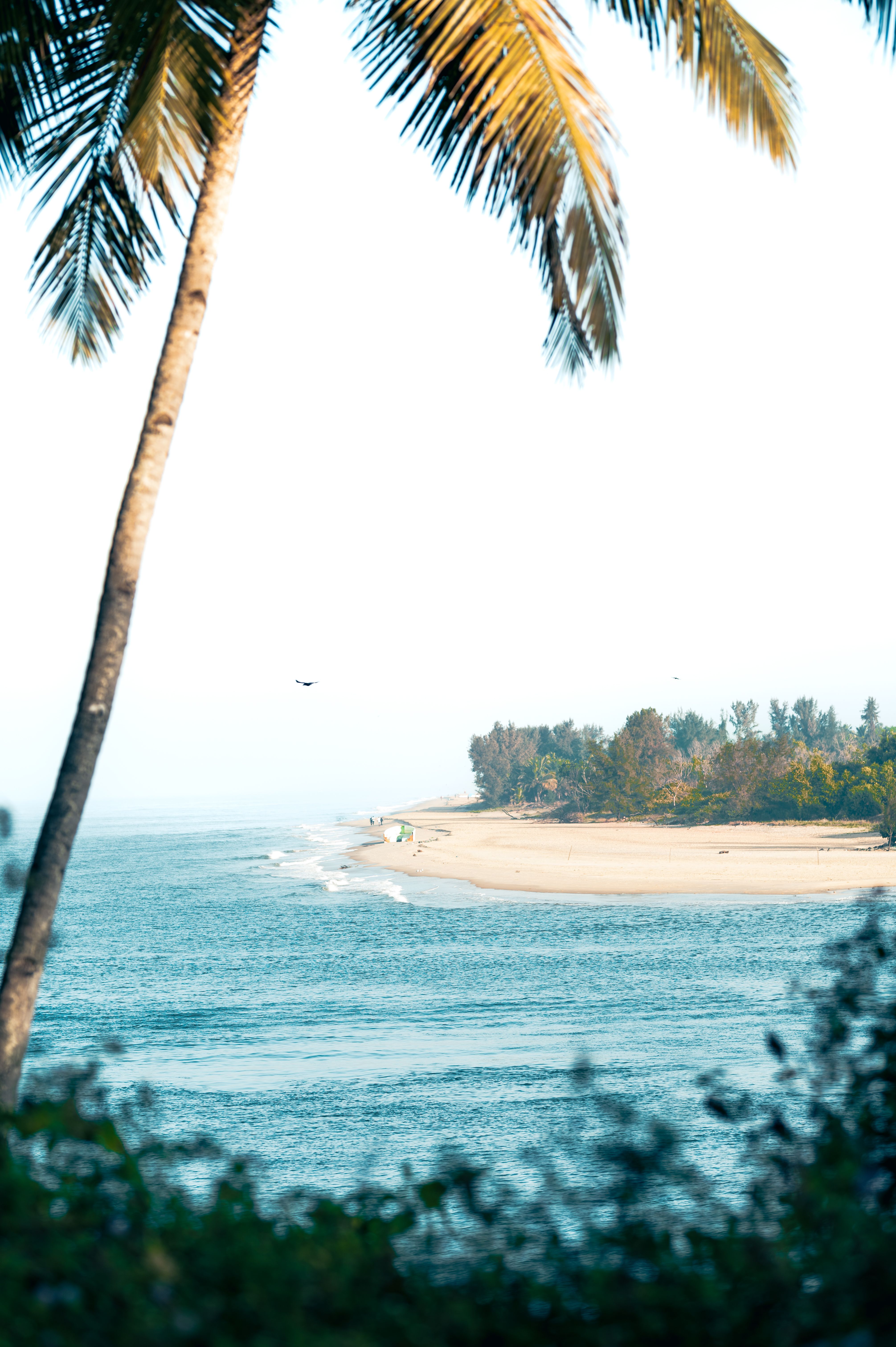 Afbeelding A9 Photos, Download The BEST Free Afbeelding A9 Stock Photos ...
