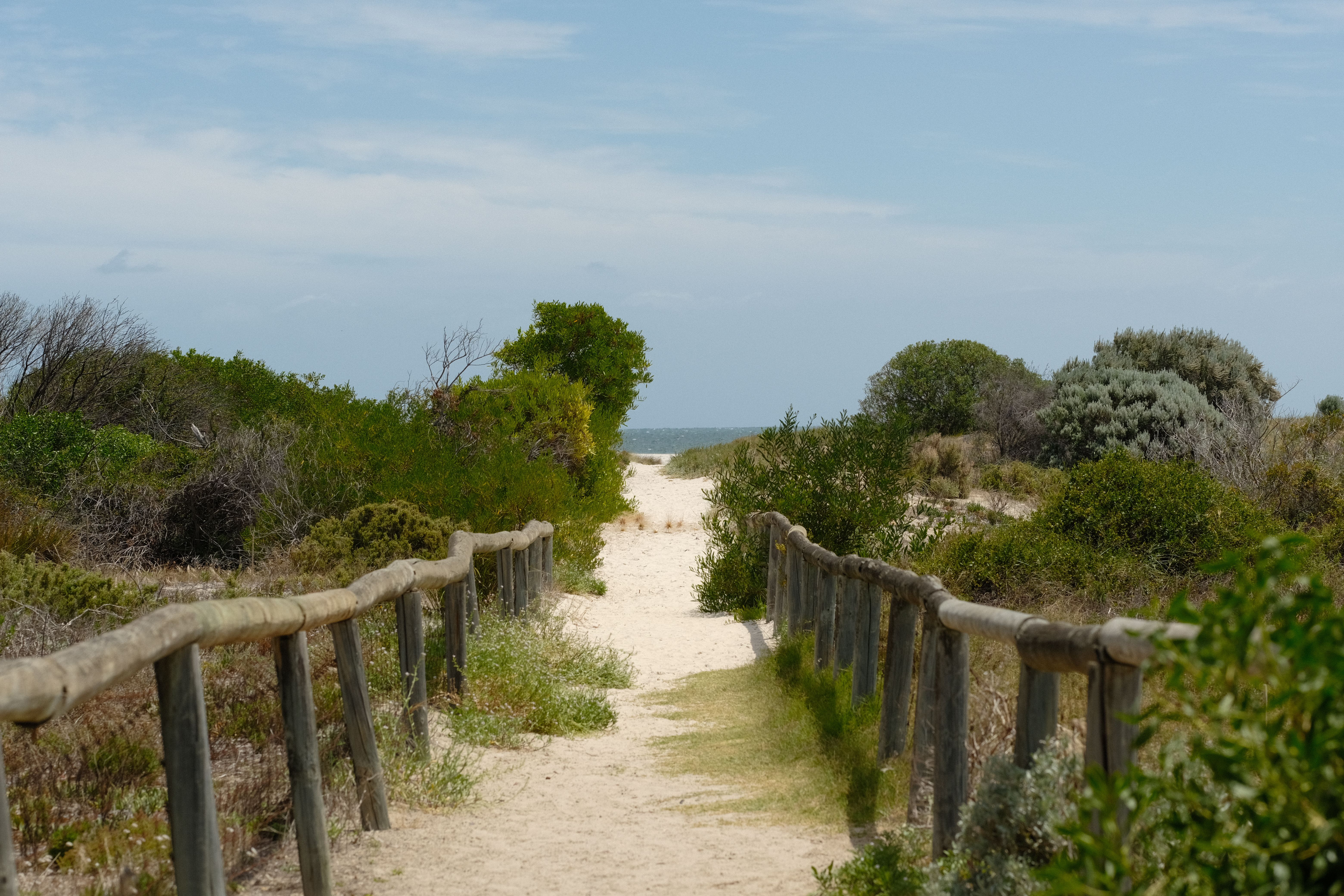 Sand Path Leading on Beach · Free Stock Photo