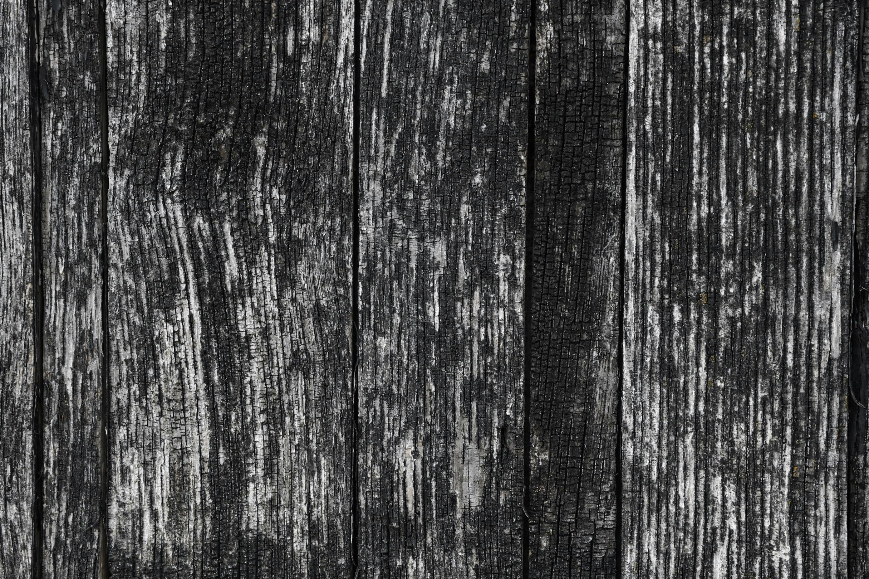 Kento Ikeda - Photography