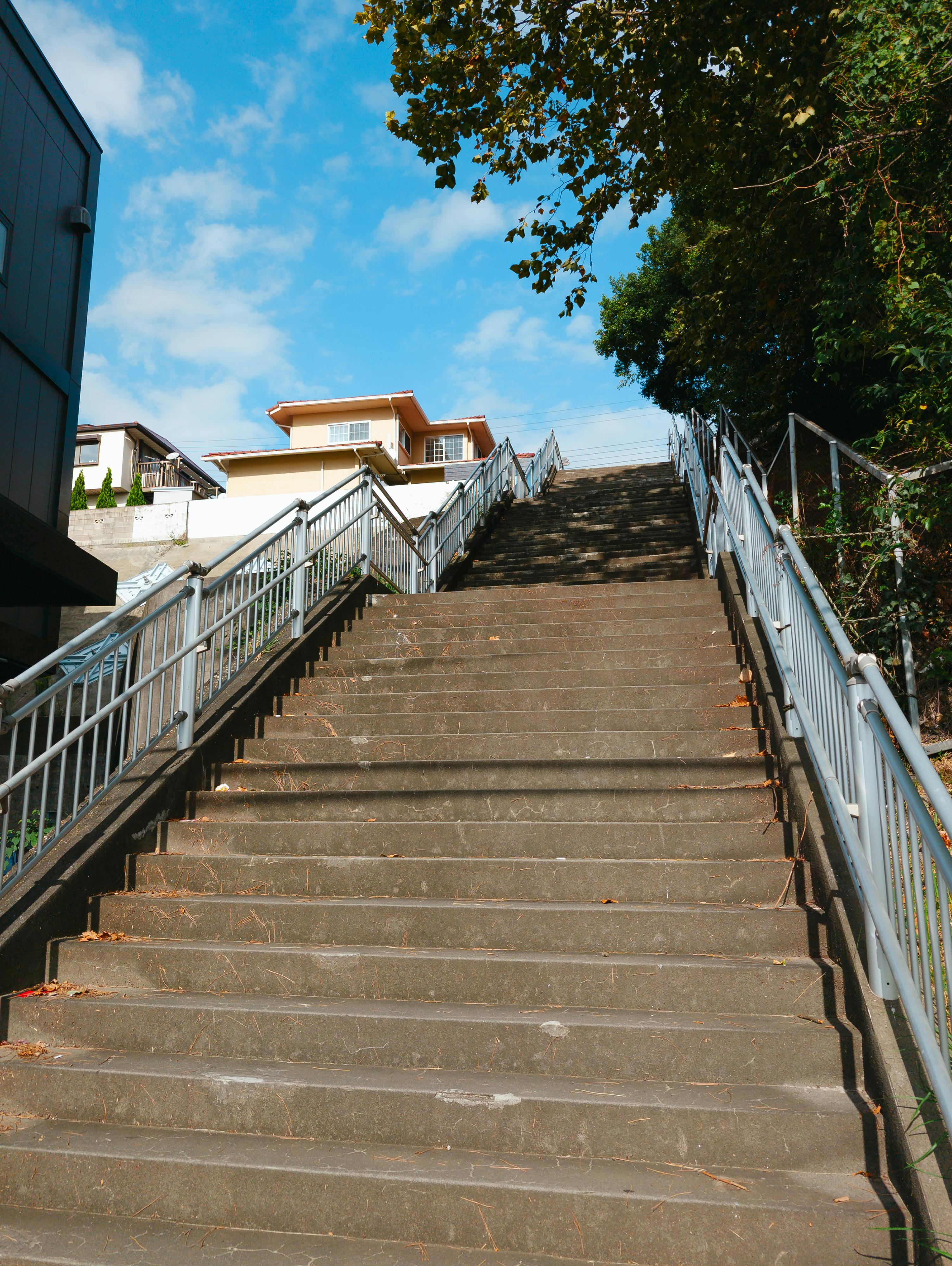 Stairs in a Park in Sunlight · Free Stock Photo