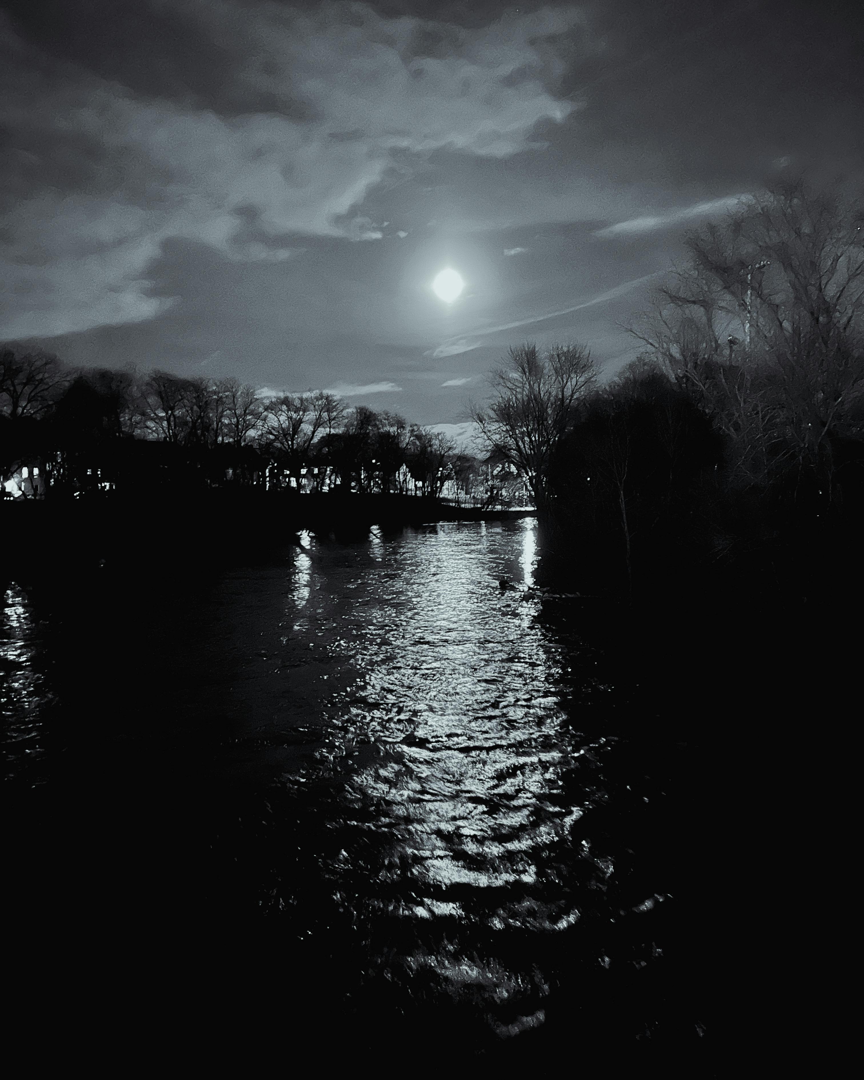 Phil Evenden - Photography