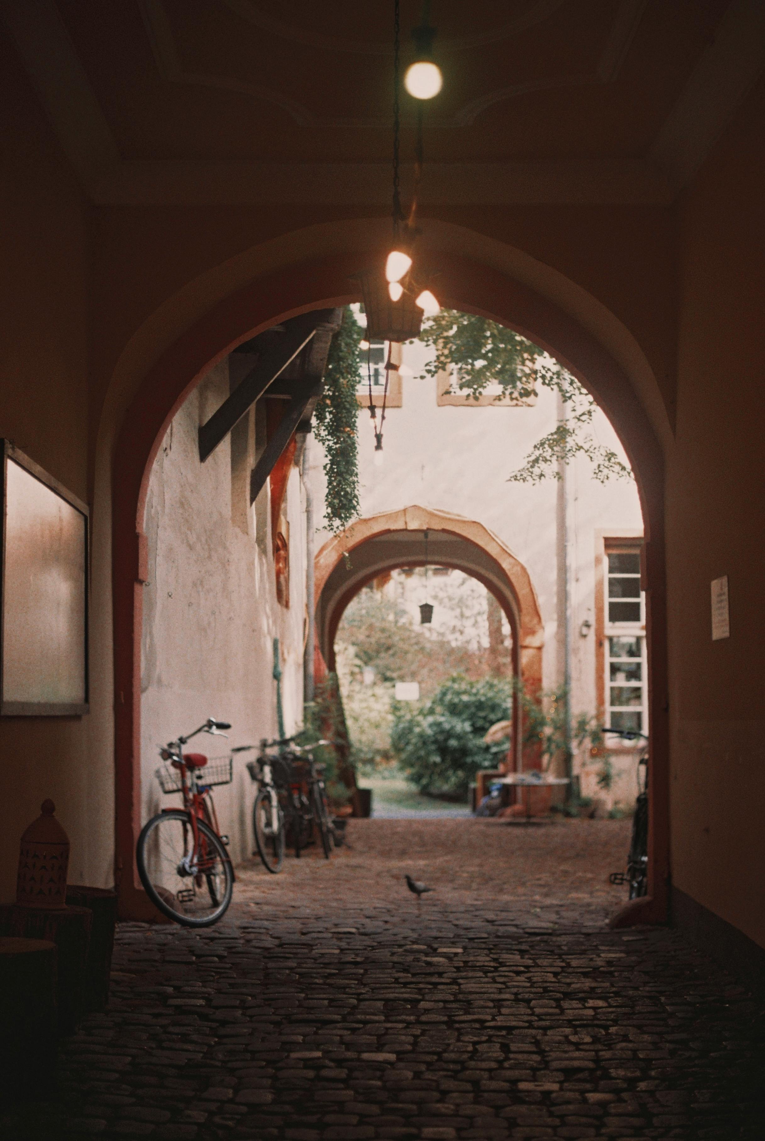 Tuba Nur Dogan - 摄影