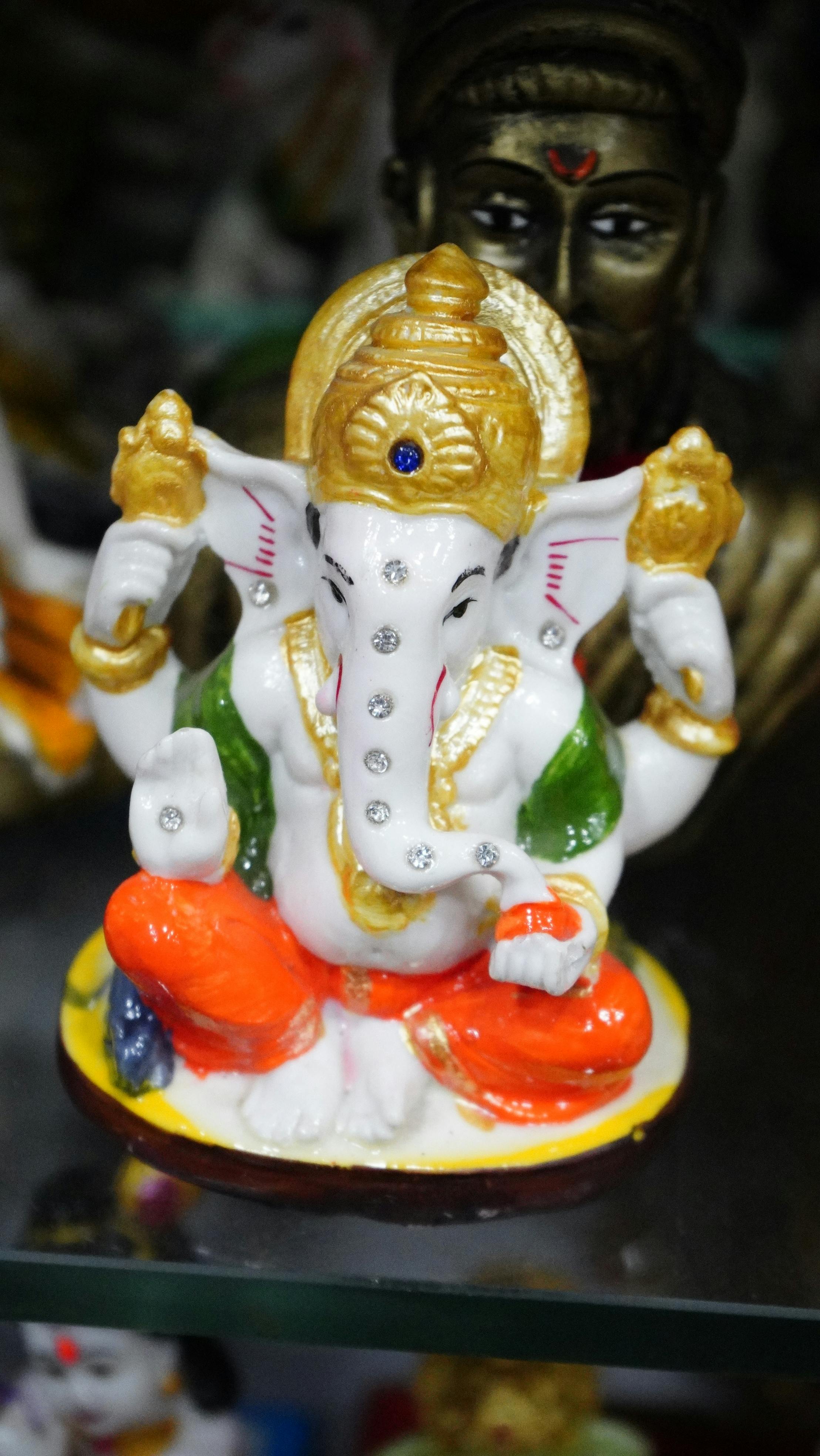 Elephant Weed Photos, Download The BEST Free Elephant Weed Stock Photos ...