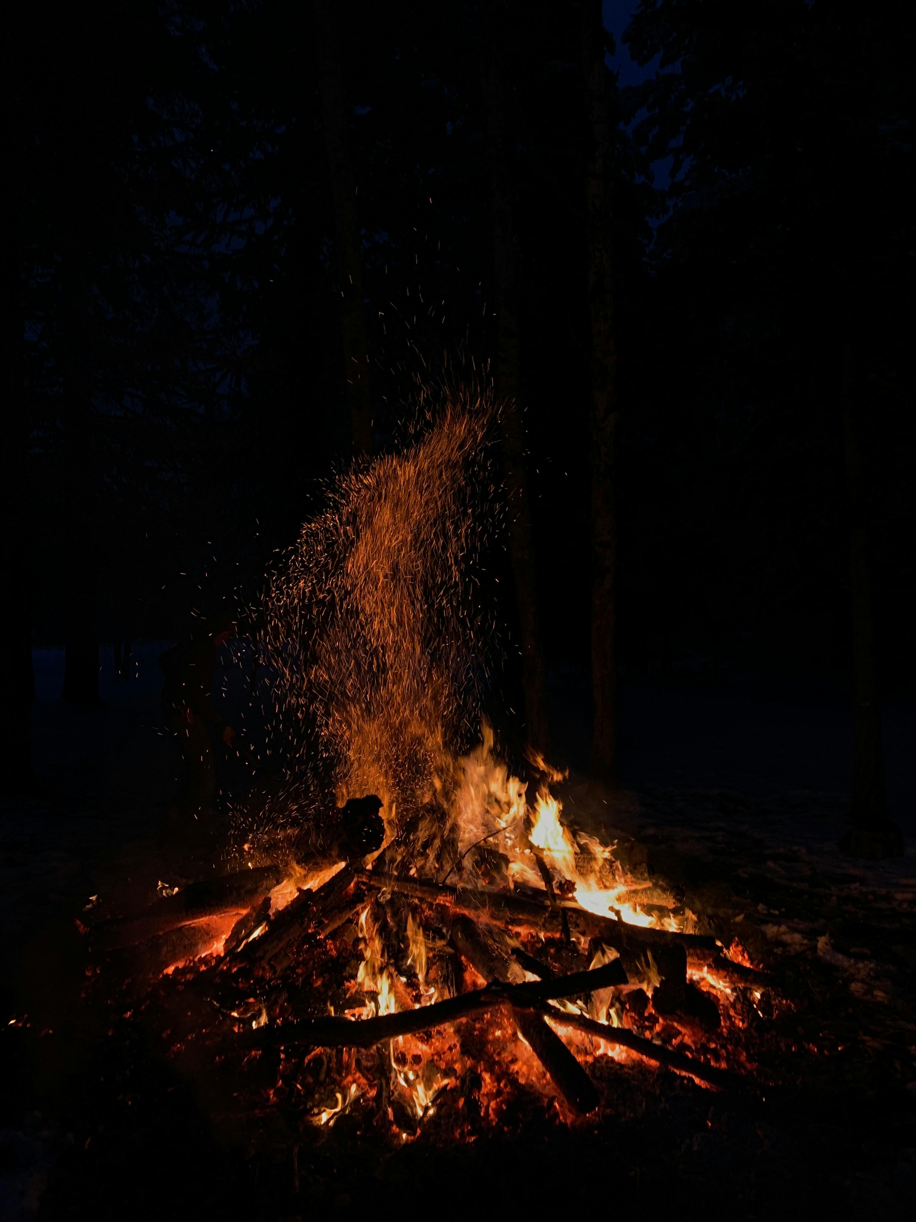 Sparkles in Bonfire at Night · Free Stock Photo