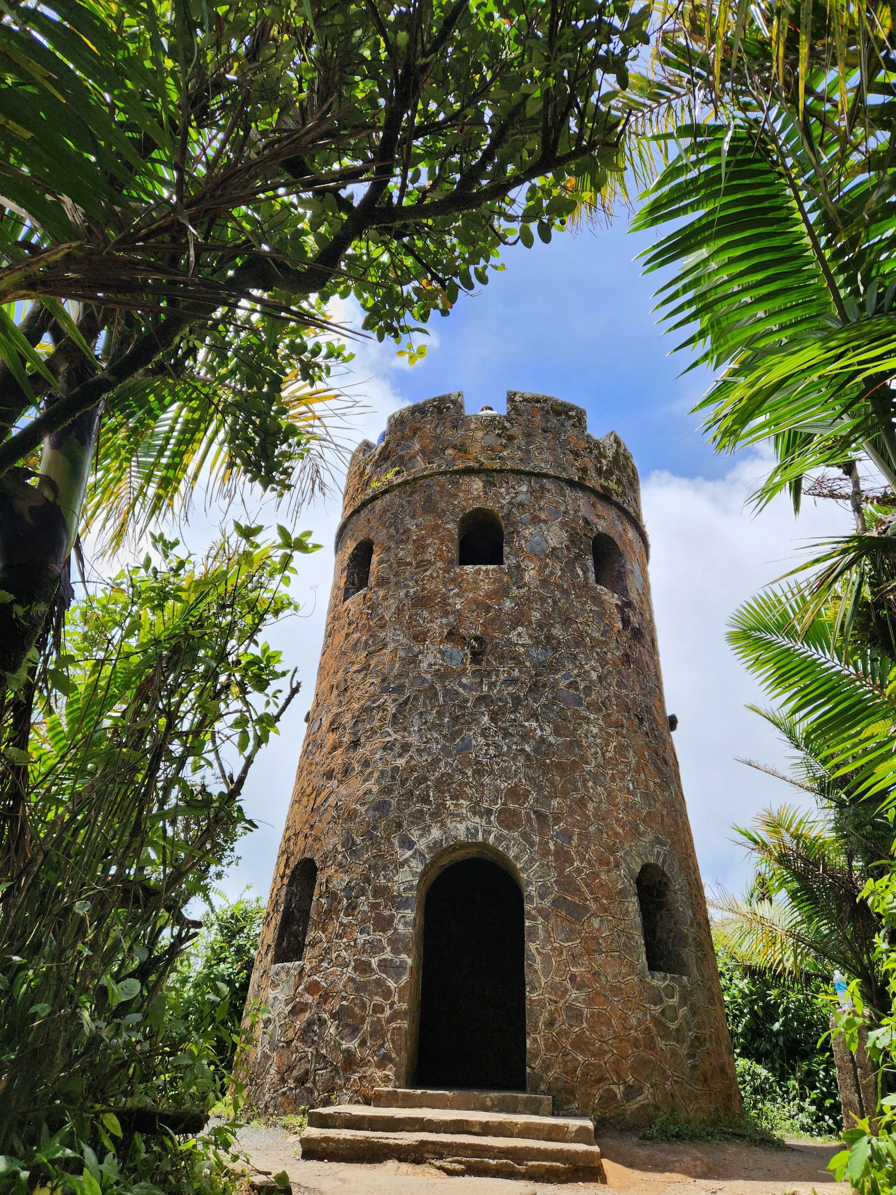 Tower in El Yunque Rainforest, Puerto Rico · Free Stock Photo