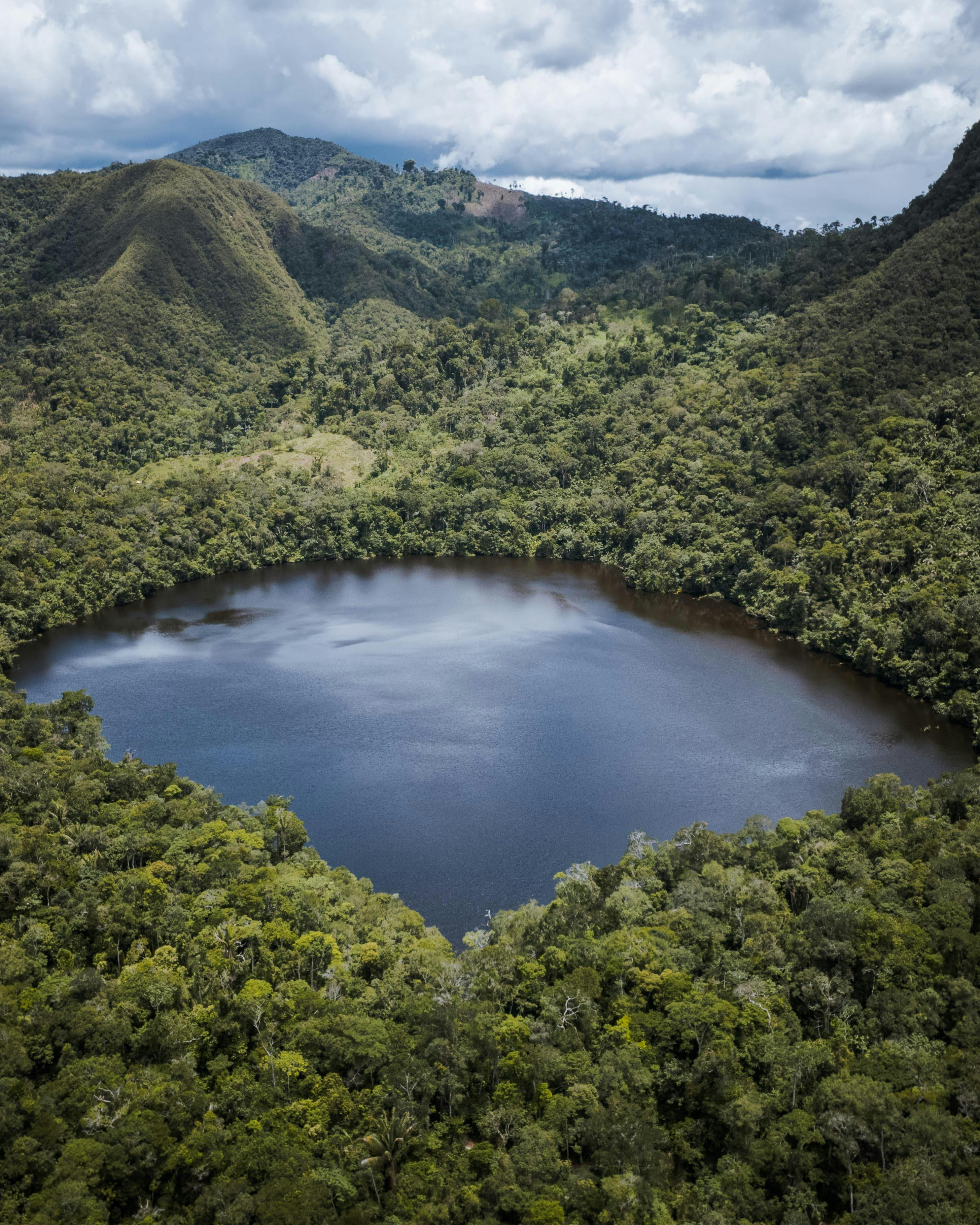 Jungla Photos, Download The BEST Free Jungla Stock Photos & HD Images