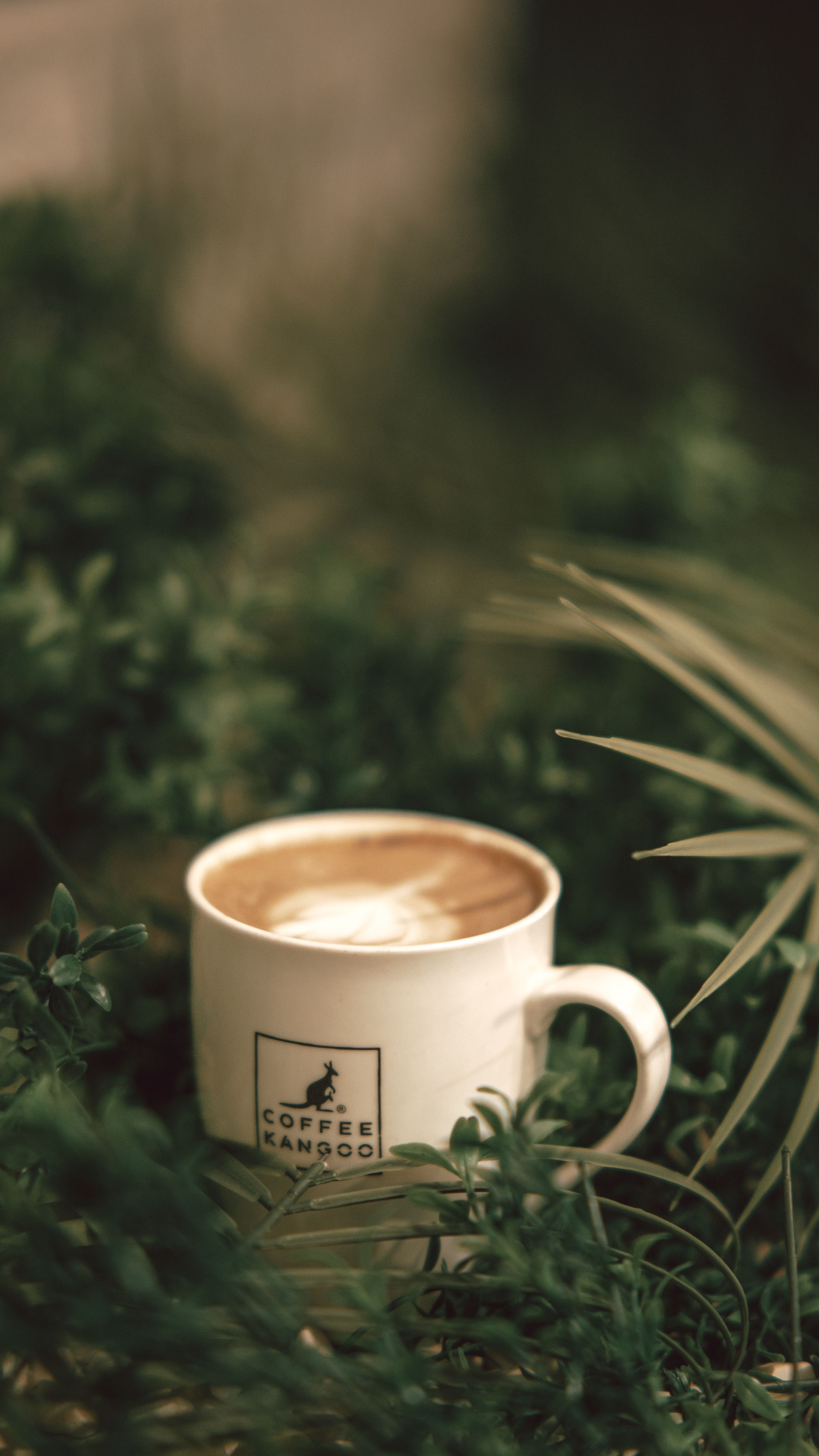 Cup of Coffee in Grass · Free Stock Photo