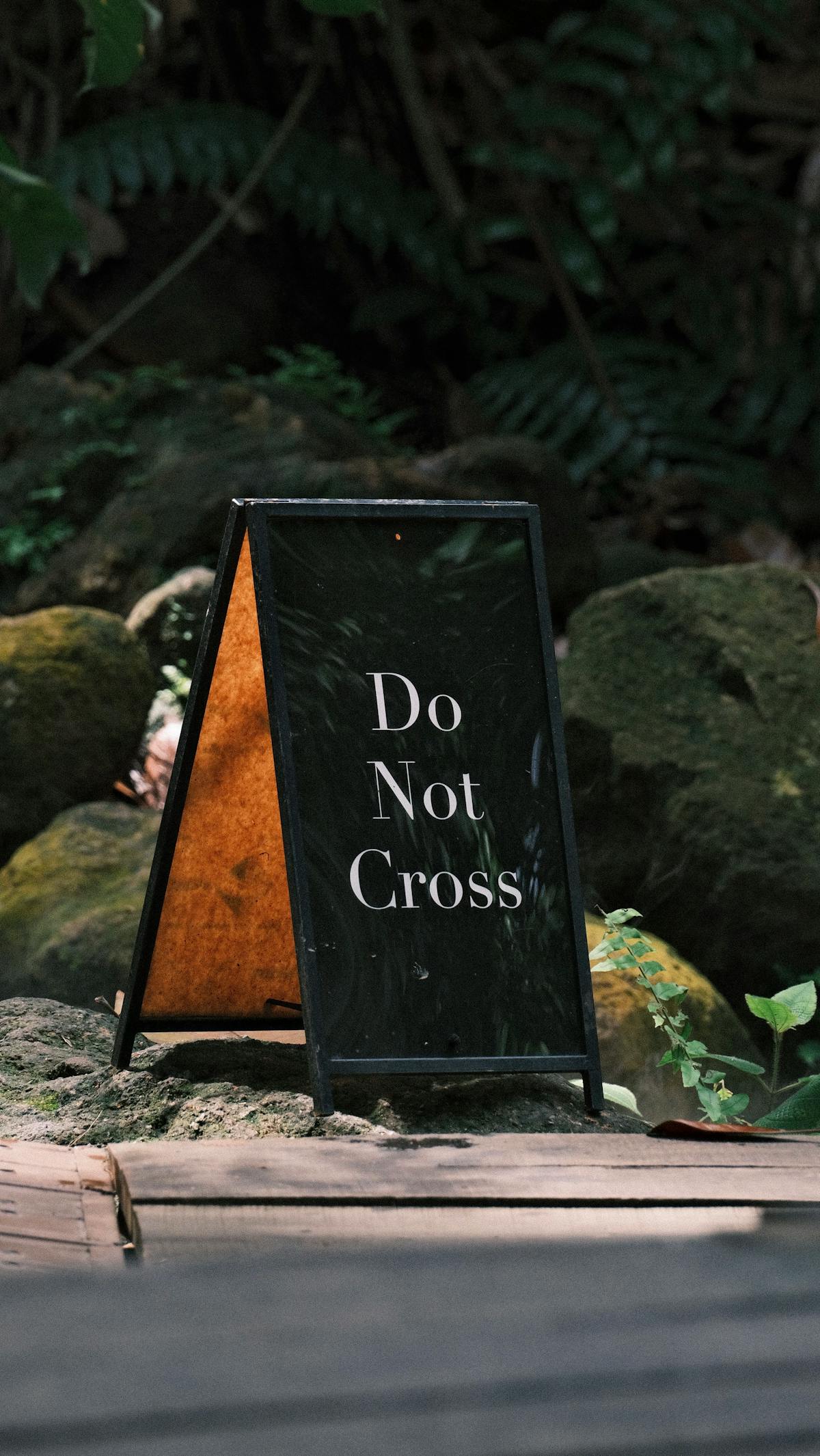 Do Not Cross Photos, Download The BEST Free Do Not Cross Stock Photos ...