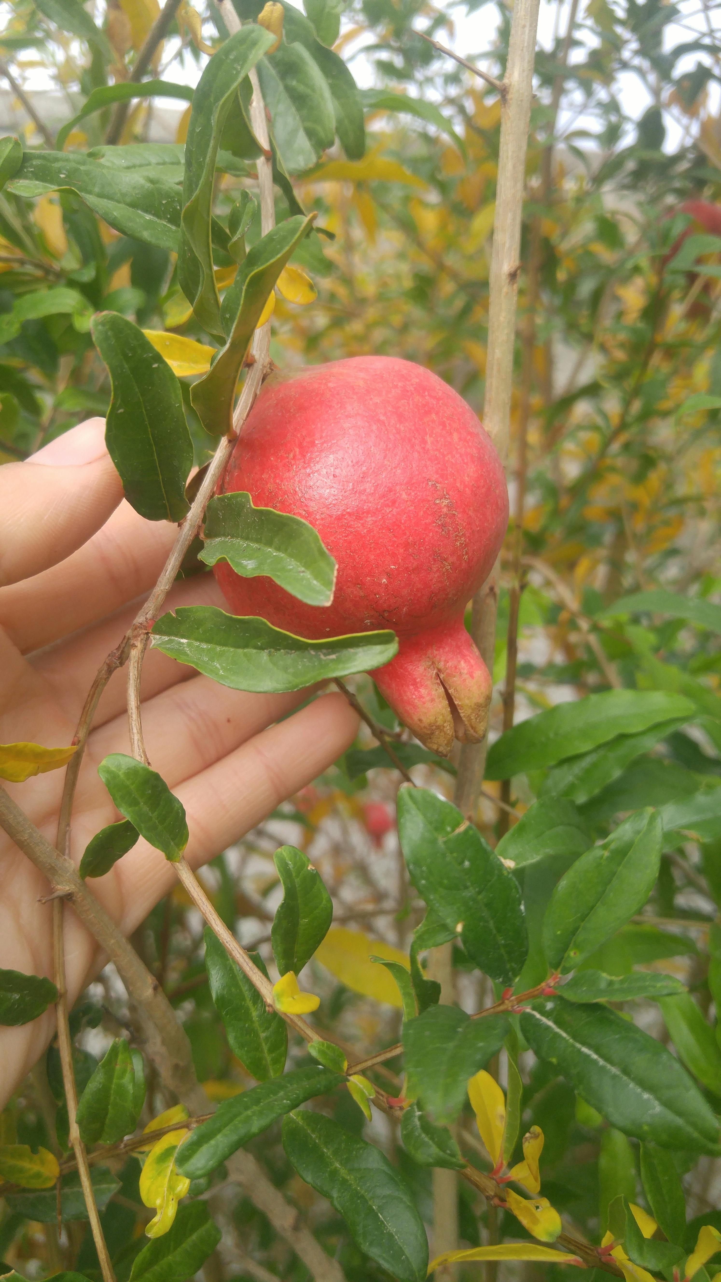 moein moradi - Photography