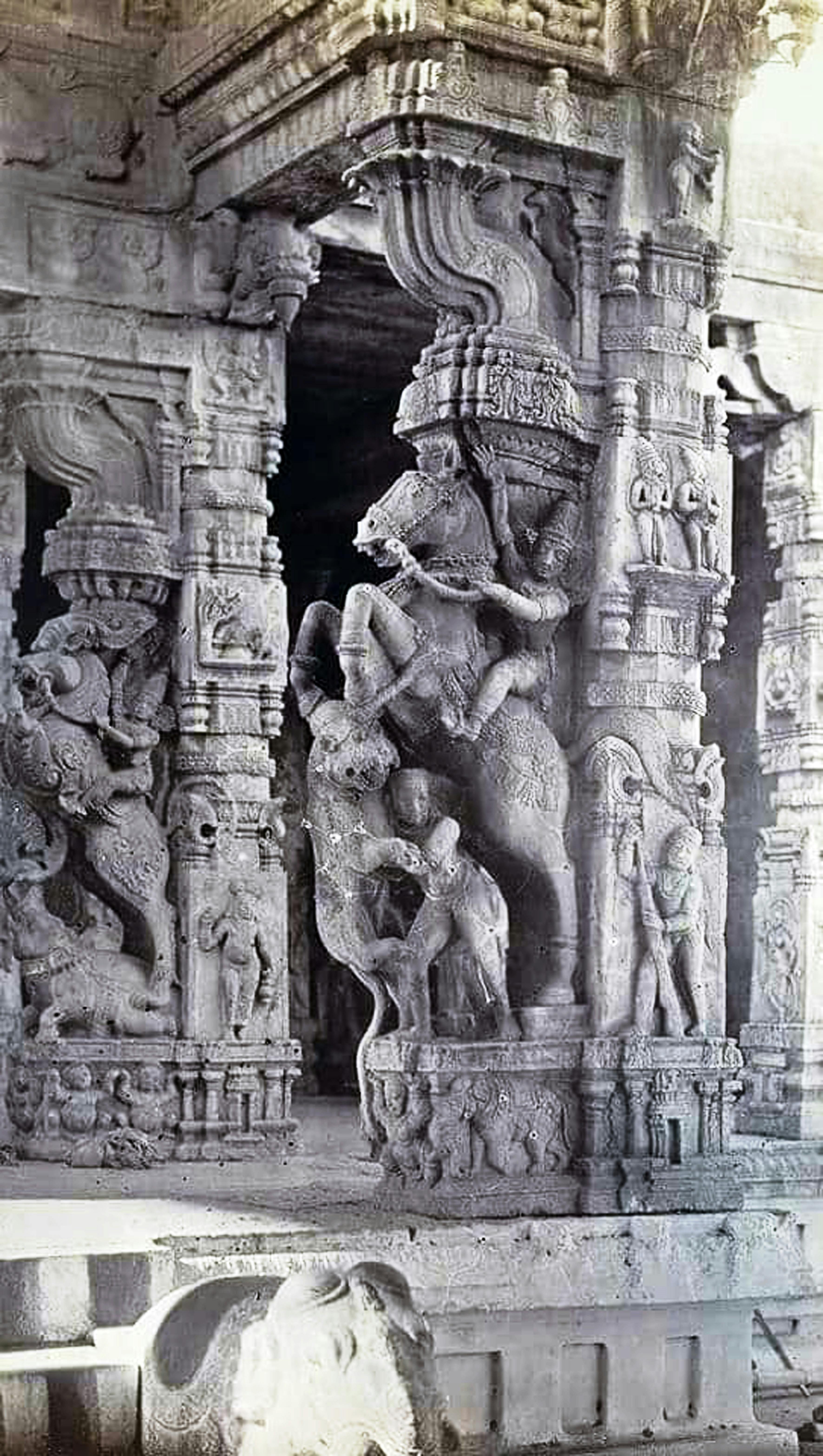 Radhika Sharma - Photography