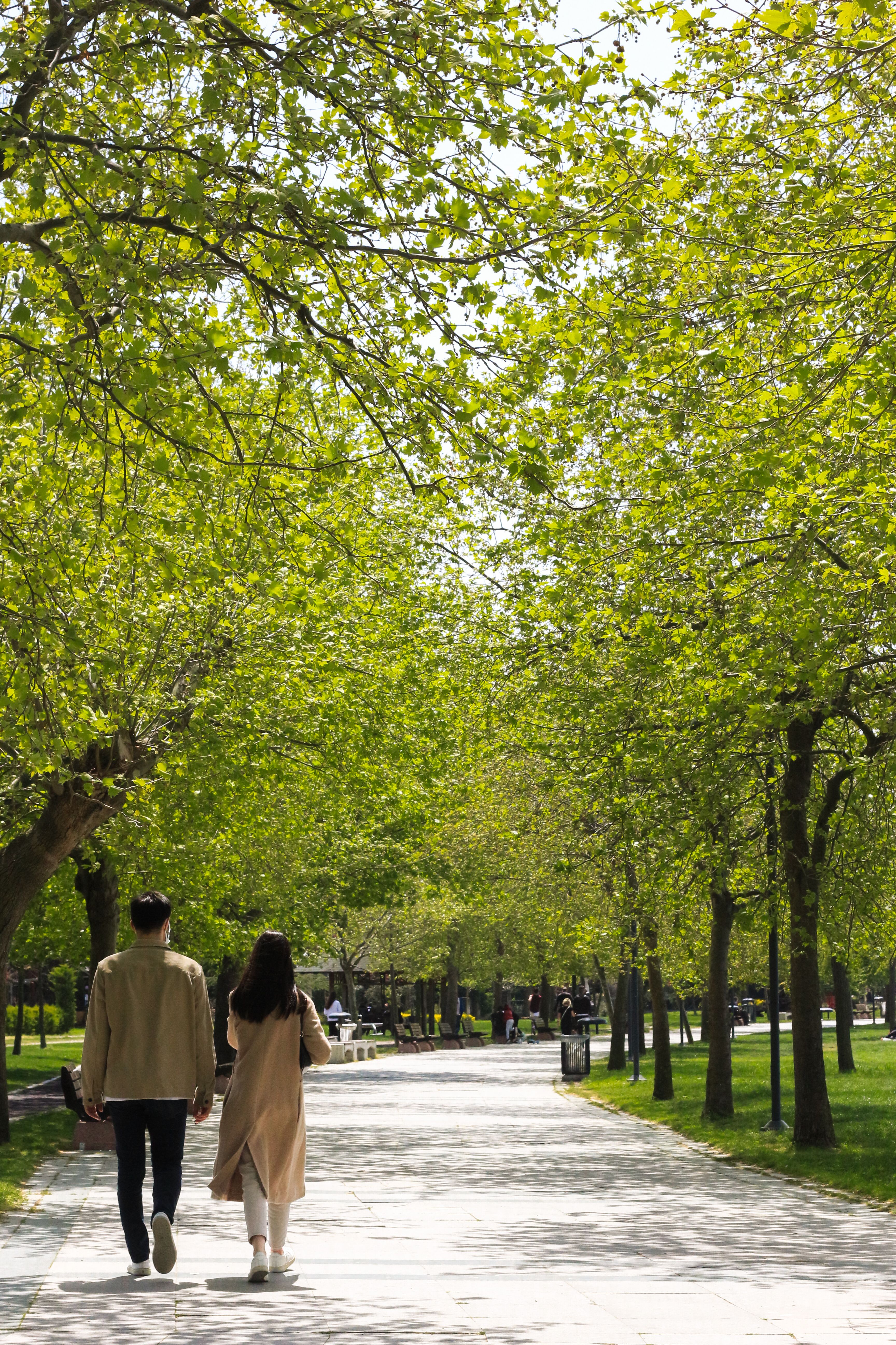 People in a Park · Free Stock Photo