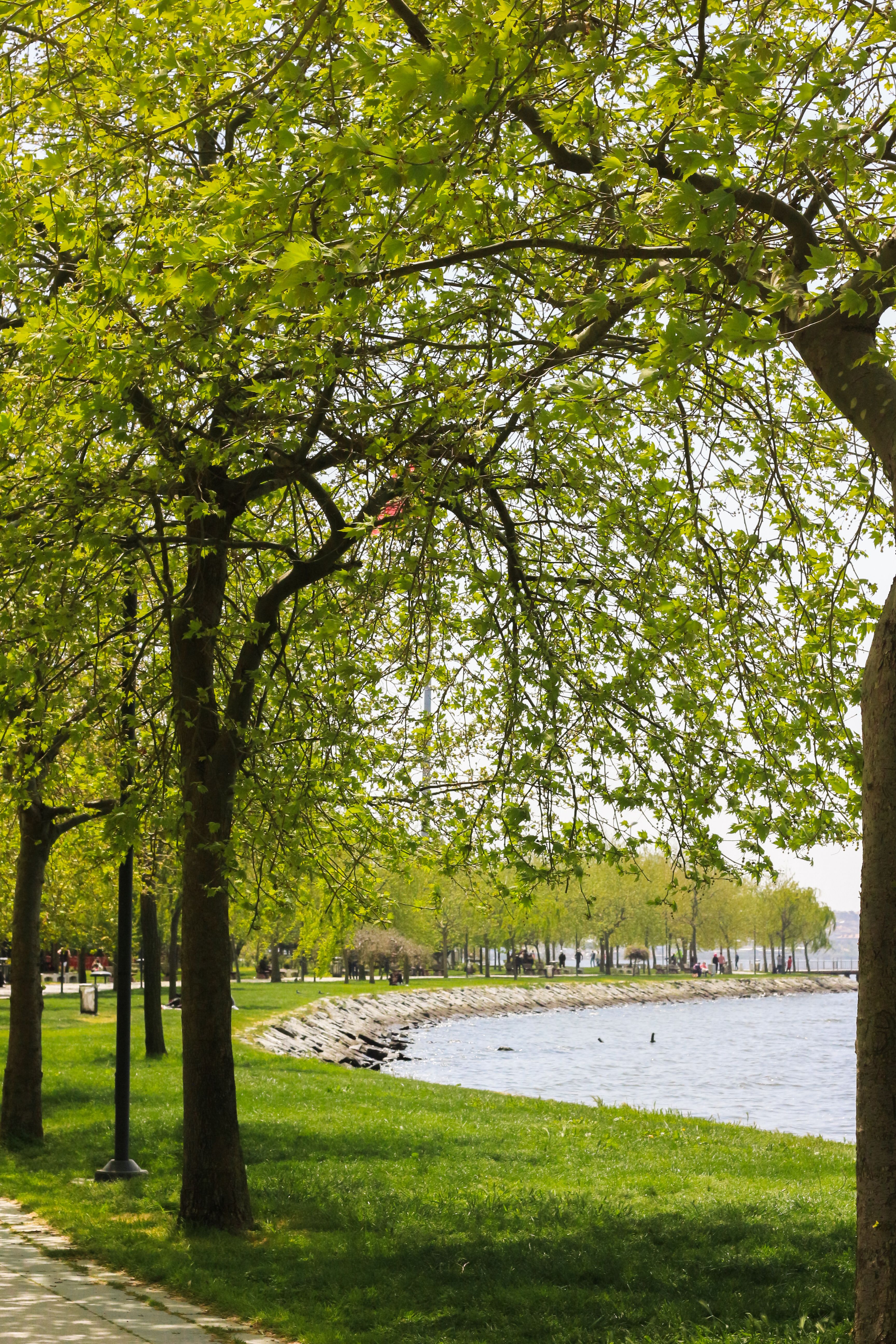 Park And Nature Photos, Download The BEST Free Park And Nature Stock ...