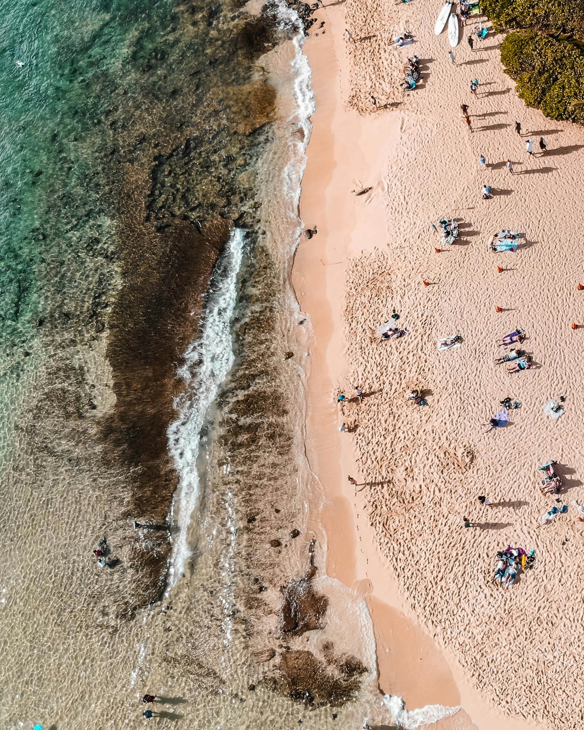Bird's Eye View of Beach · Free Stock Photo