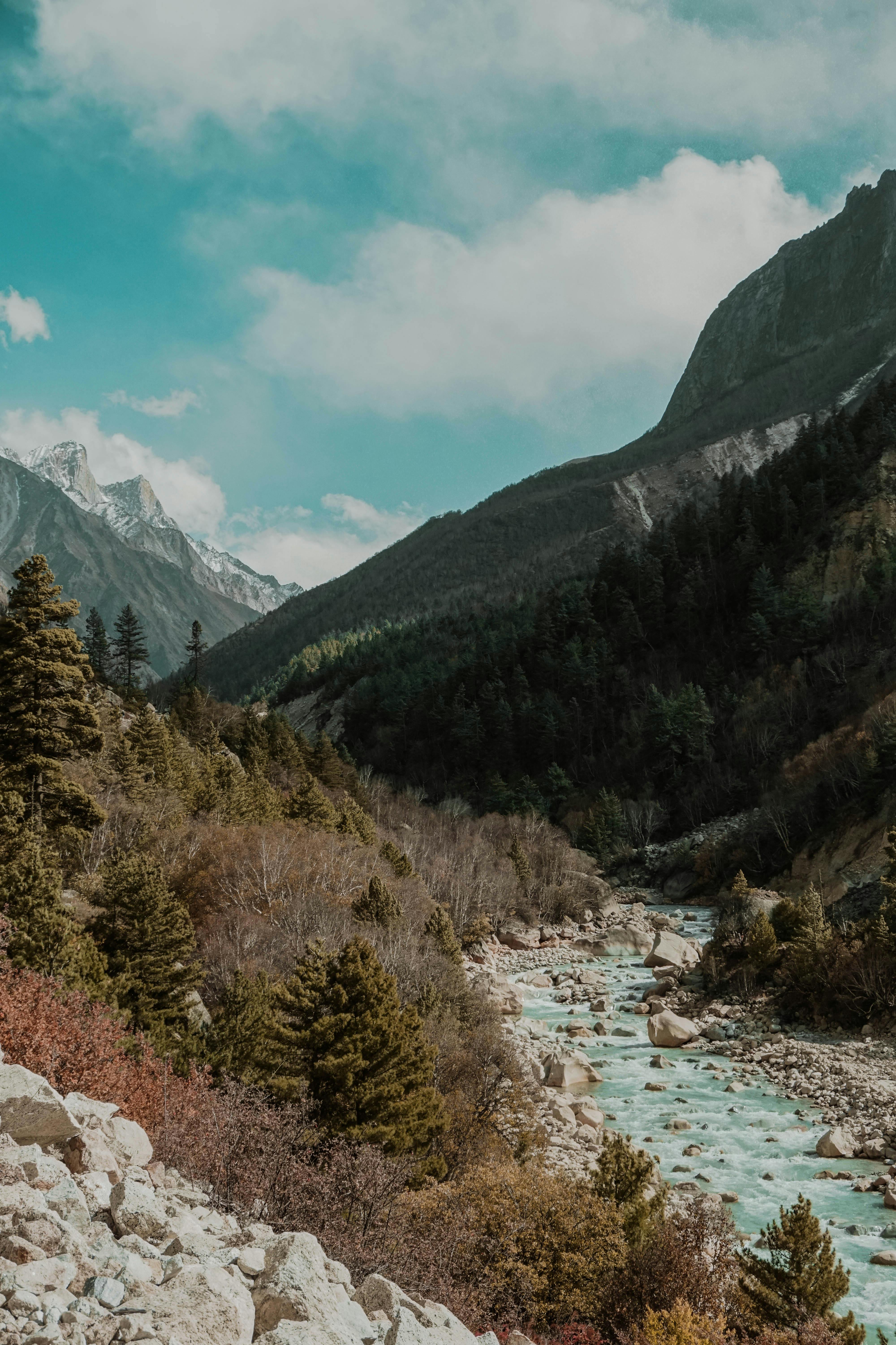 Scenic View of River · Free Stock Photo