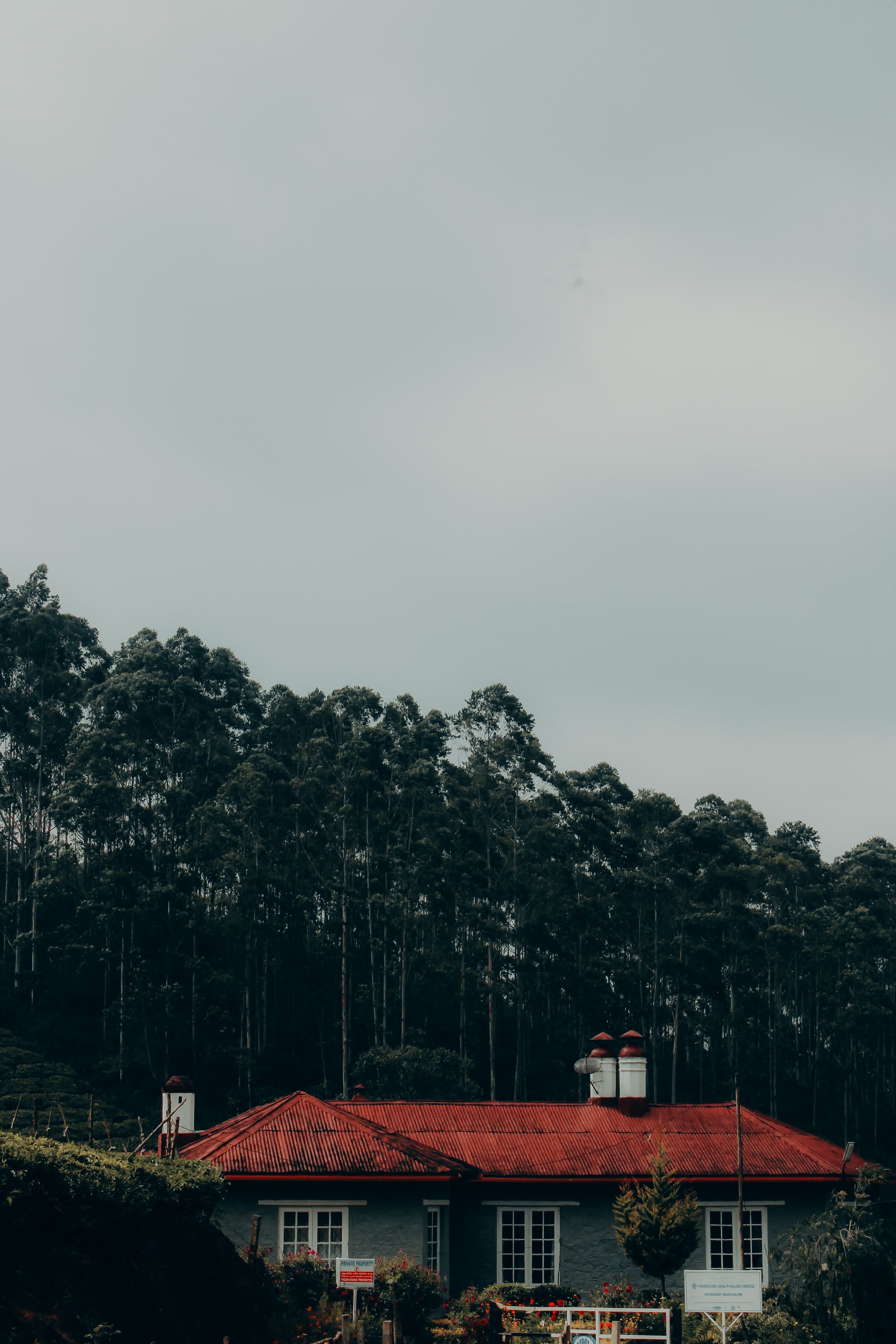 Bungalow with Forest Trees in the Background · Free Stock Photo