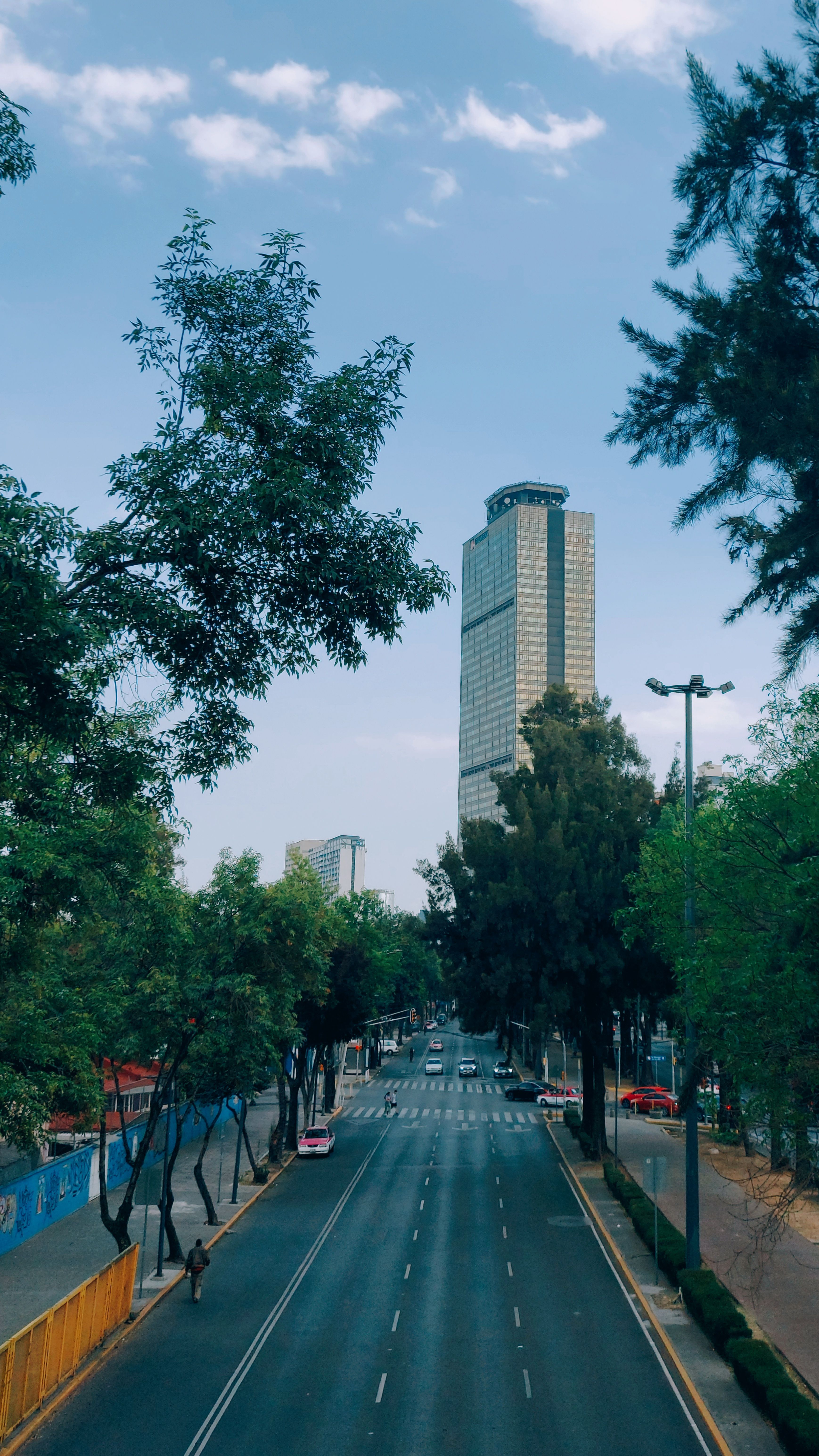 Trees around Street in City · Free Stock Photo