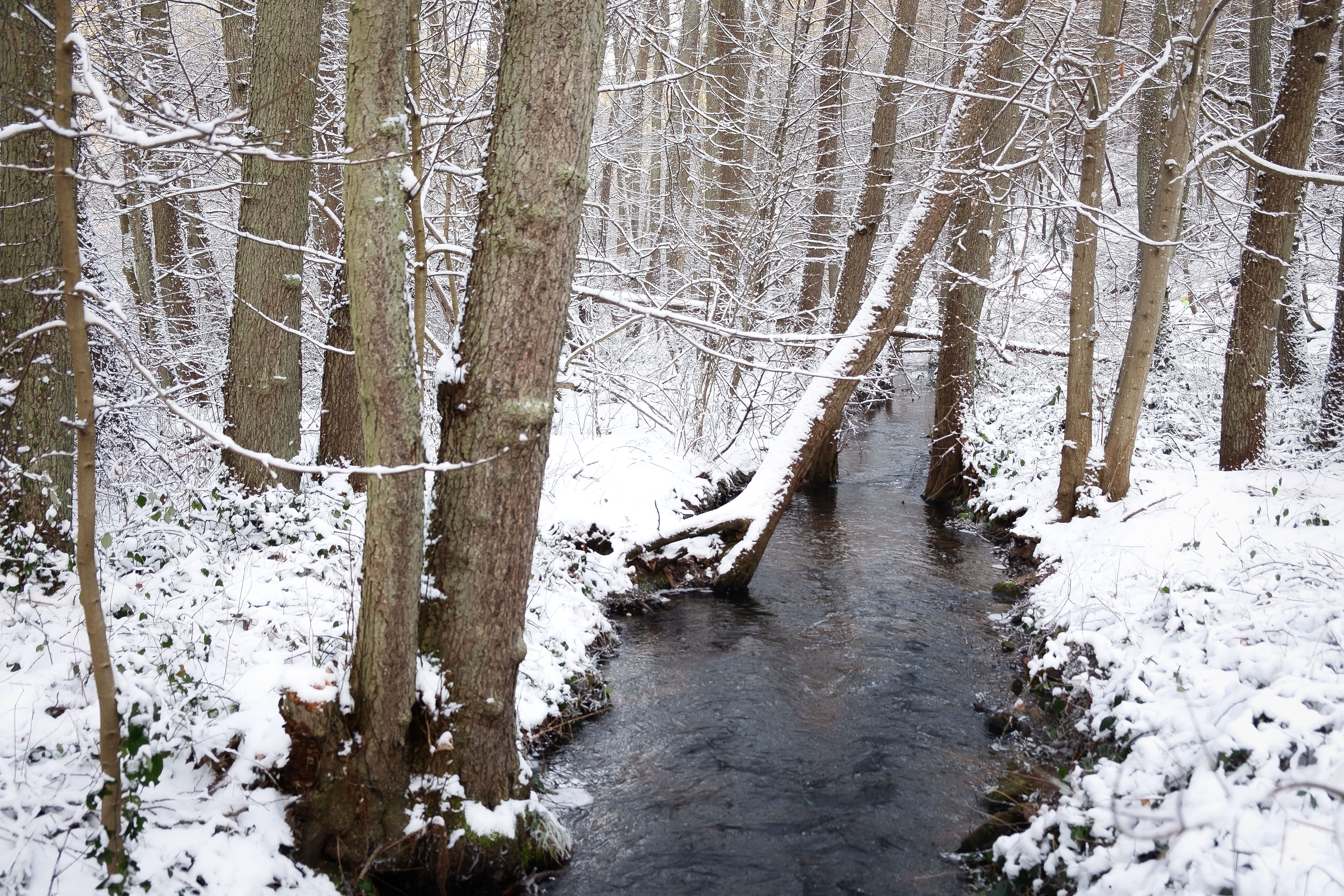 Iced Stream Photos, Download The BEST Free Iced Stream Stock Photos ...