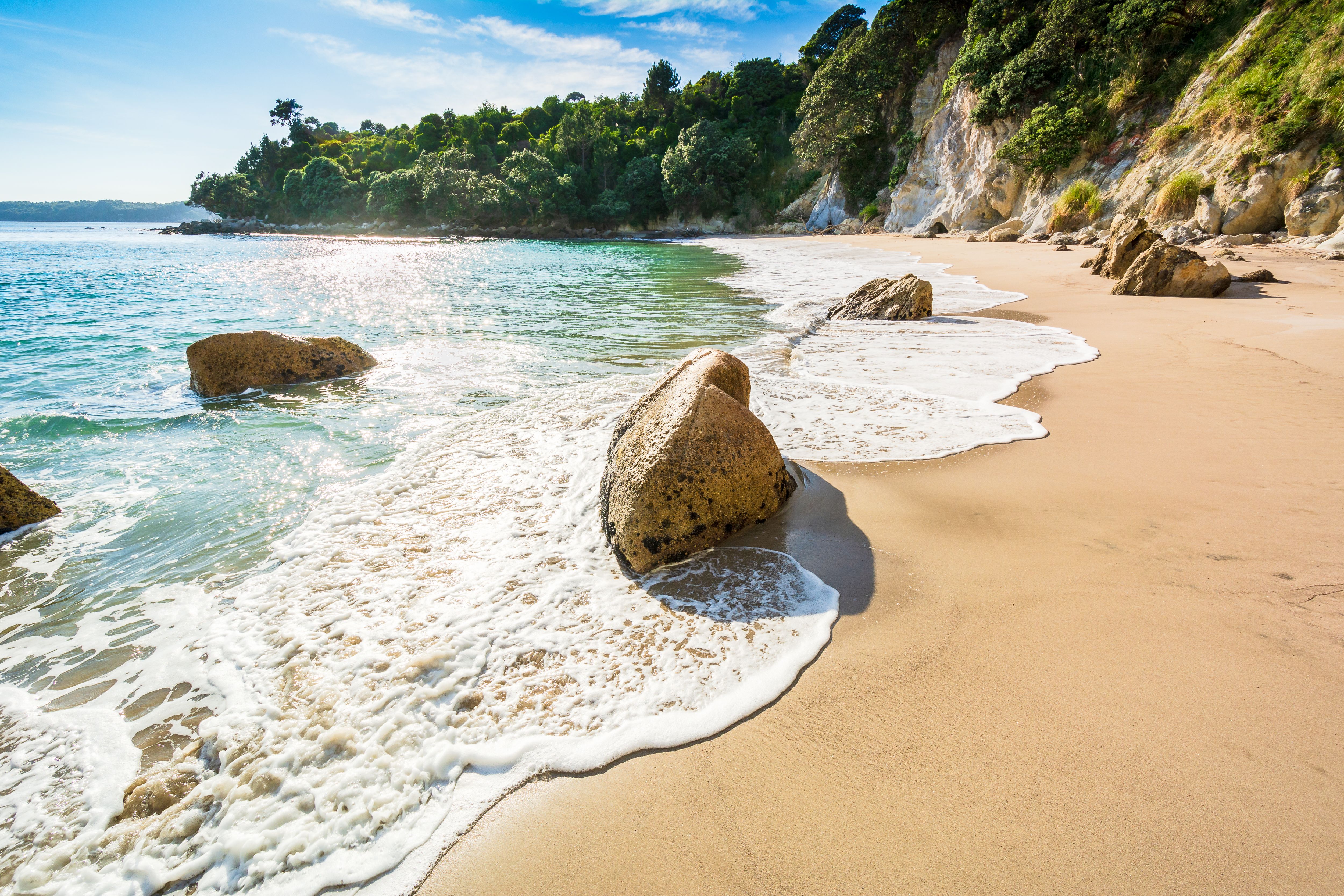 Sandy Beach in Summer · Free Stock Photo