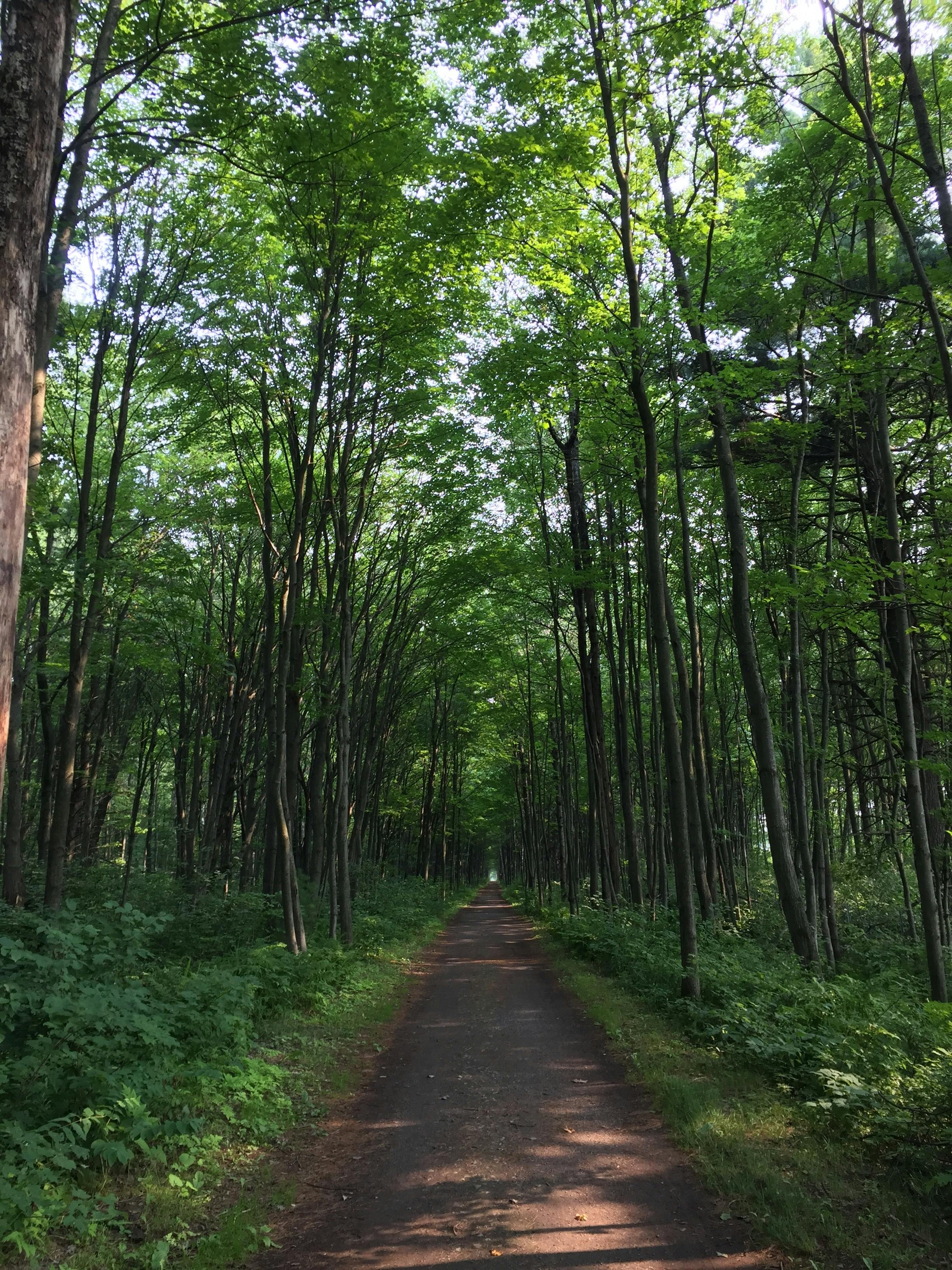 Source Of Freshness Photos, Download The BEST Free Source Of Freshness ...