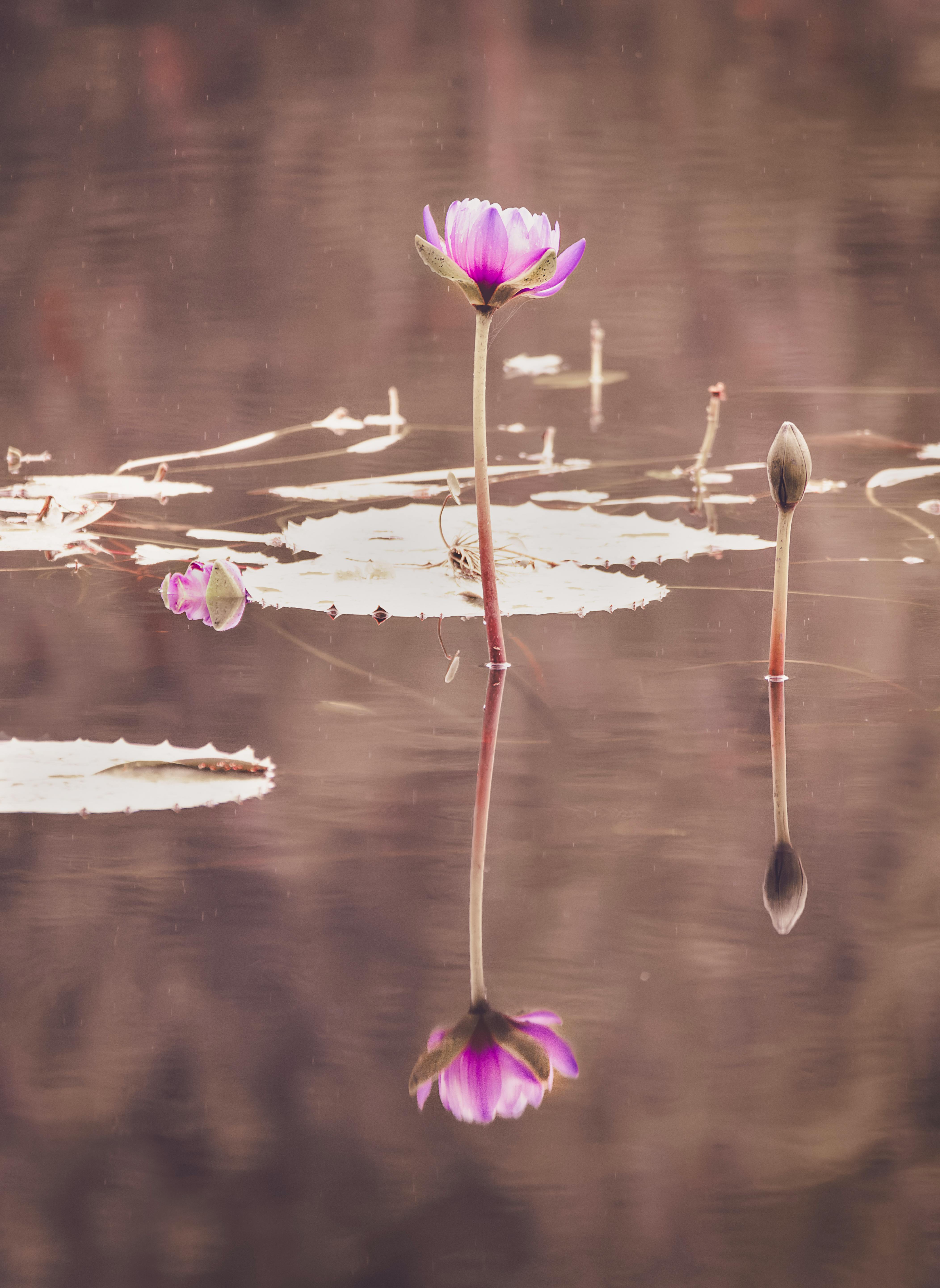 Symmetry Photos, Download The BEST Free Symmetry Stock Photos & HD Images