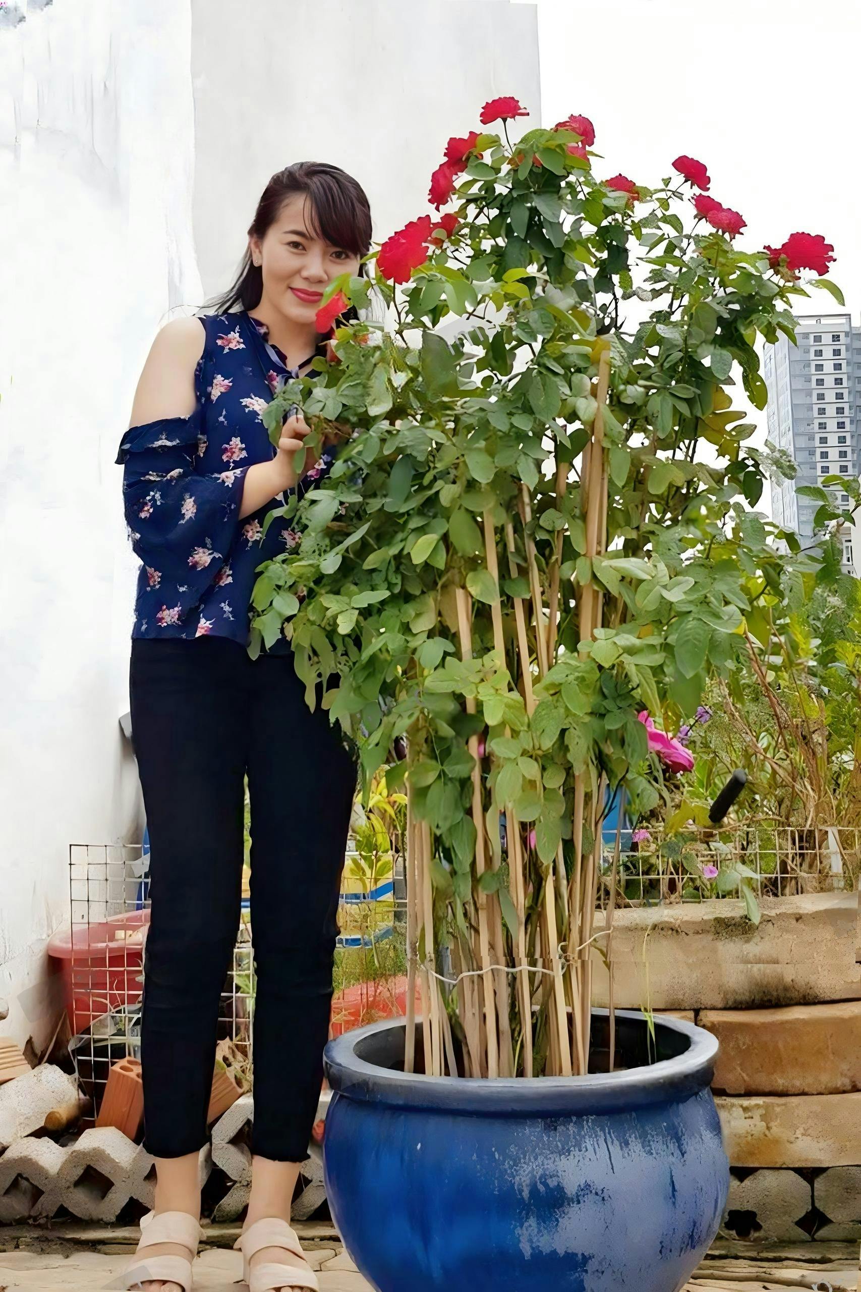 Daily Life 4 Photos & Videos Collected by Tuyet Le