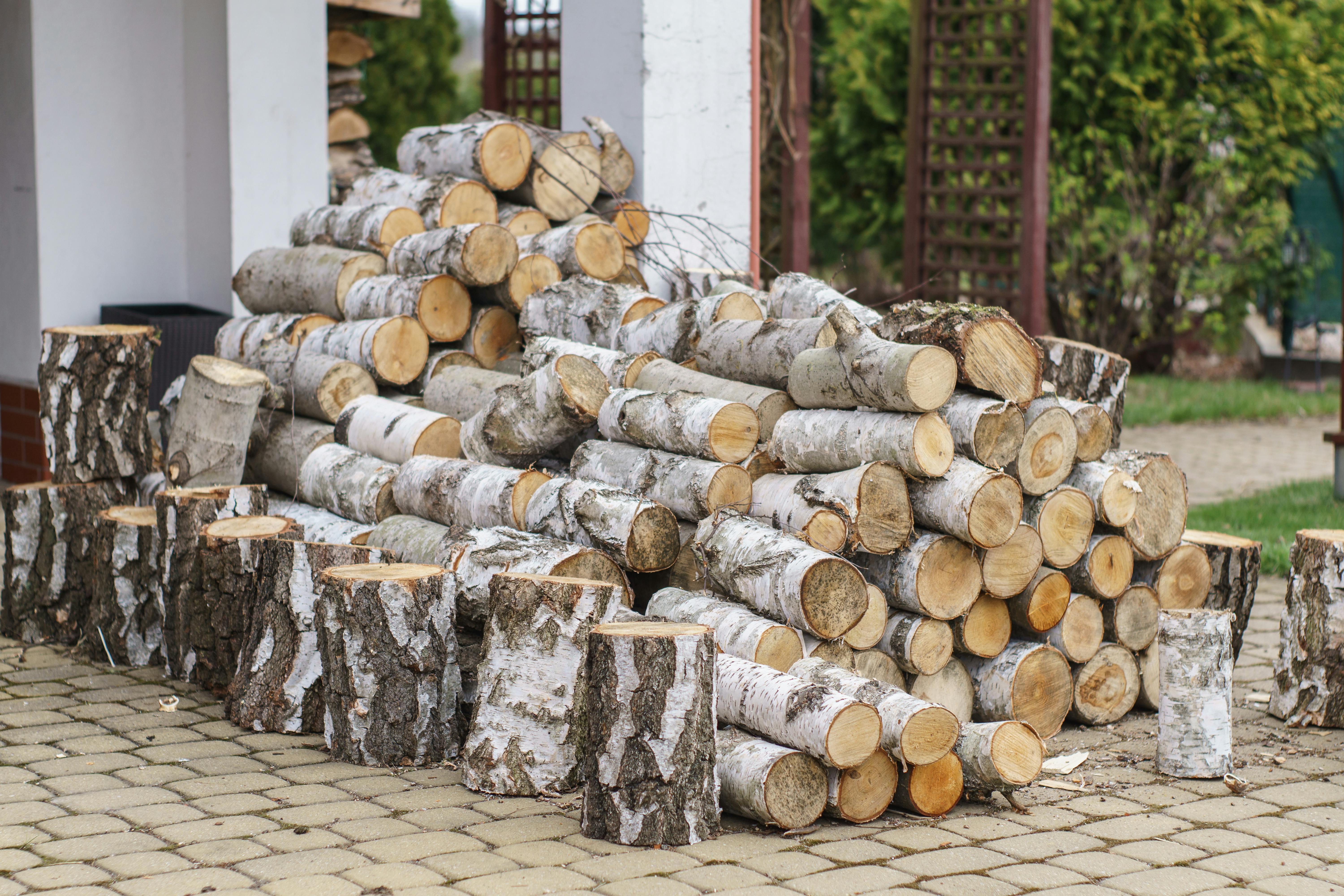 Stack of wood logs on backyard · Free Stock Photo