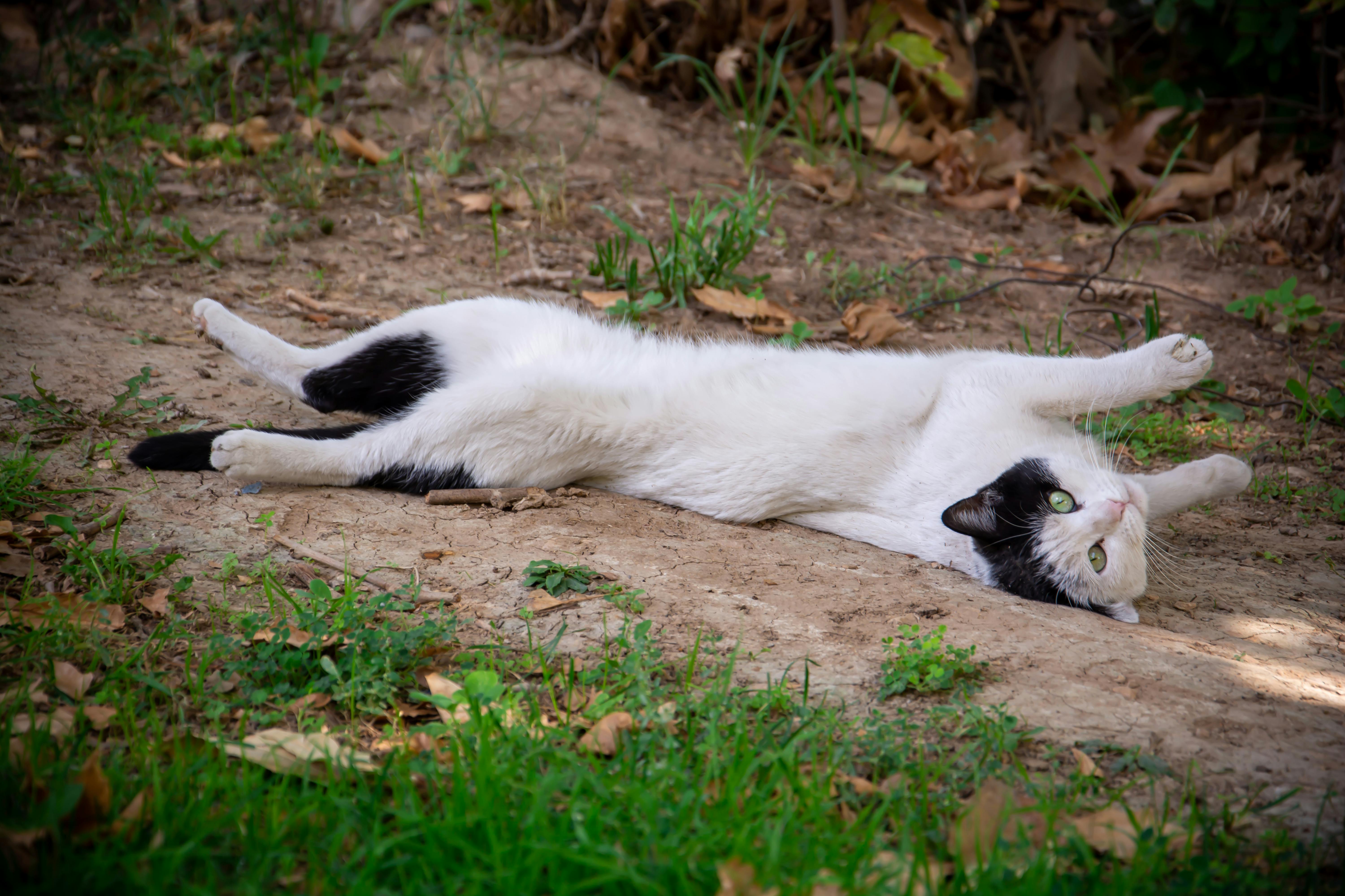 MJ RAHNAMA - Photography