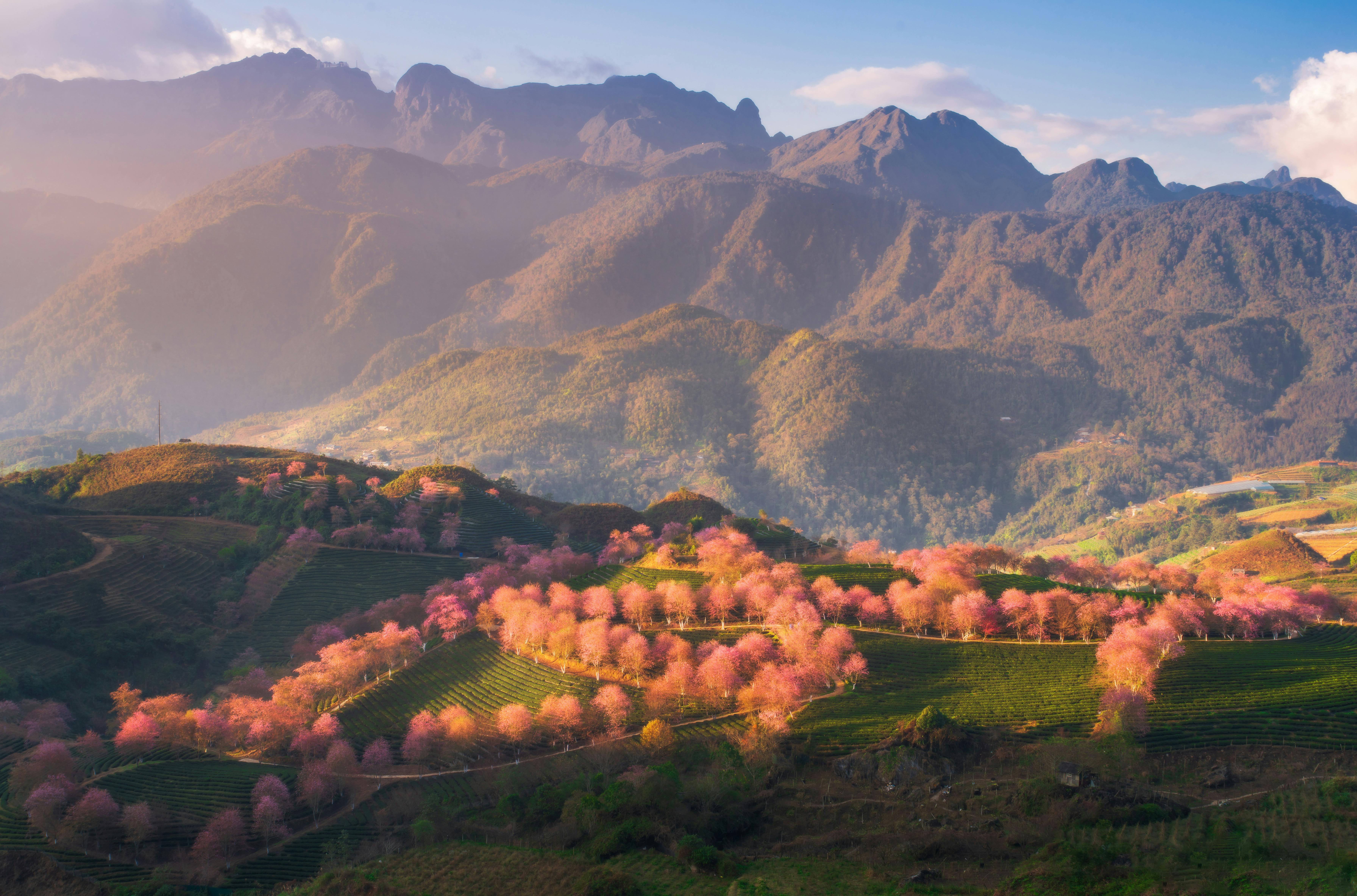 Landscape Spring Photos, Download The BEST Free Landscape Spring Stock ...